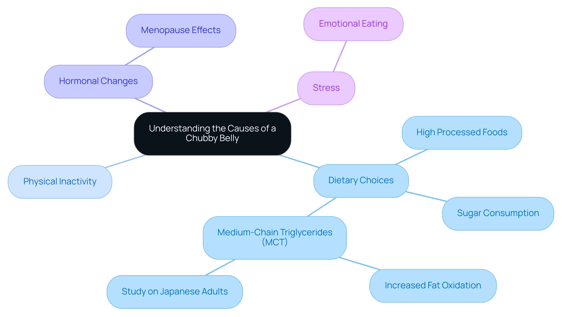 Each branch represents a major cause of a chubby belly, with sub-branches detailing specific factors contributing to each cause.