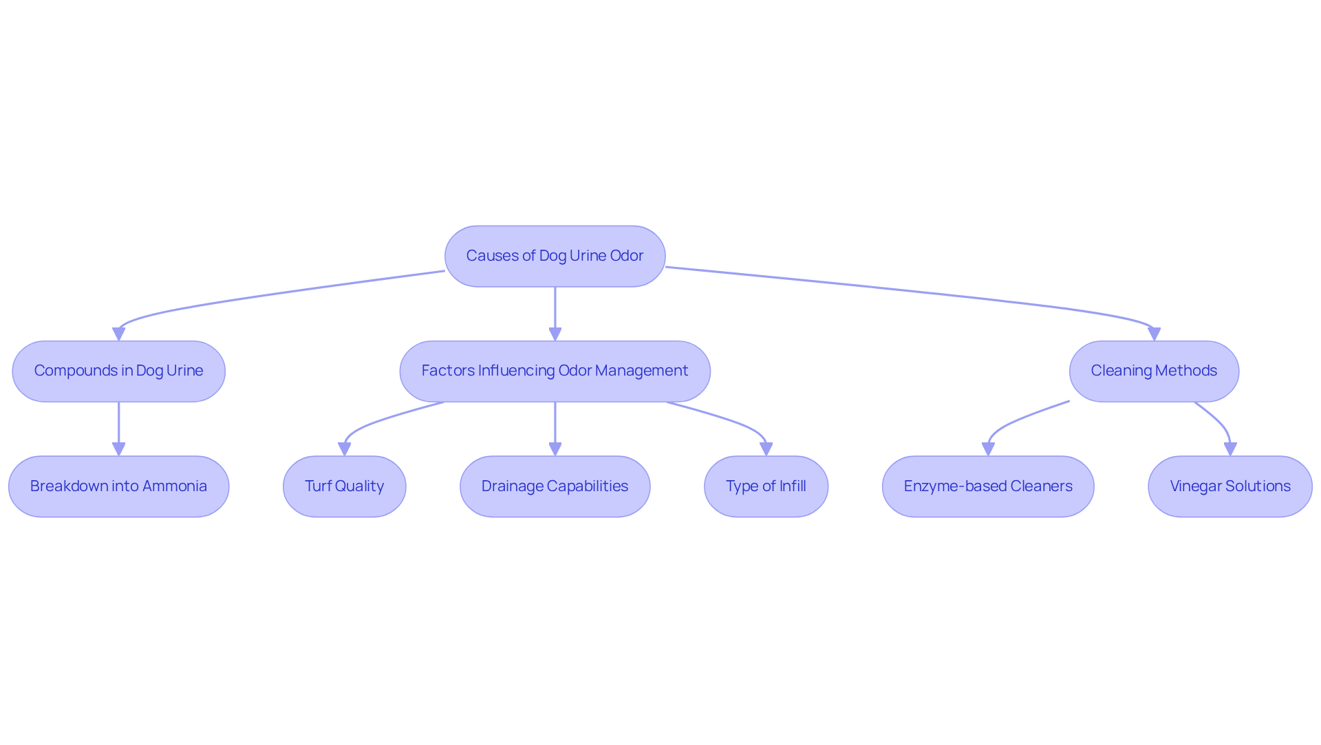 This flowchart outlines the causes of dog urine odor and the steps to manage it. Start at the top with the causes, follow the arrows to see the factors involved, and then explore the cleaning methods that can help eliminate the smell. This flowchart outlines the causes of dog urine odor and the steps to manage it. Start at the top with the causes, follow the arrows to see the factors involved, and then explore the cleaning methods that can help eliminate the smell.