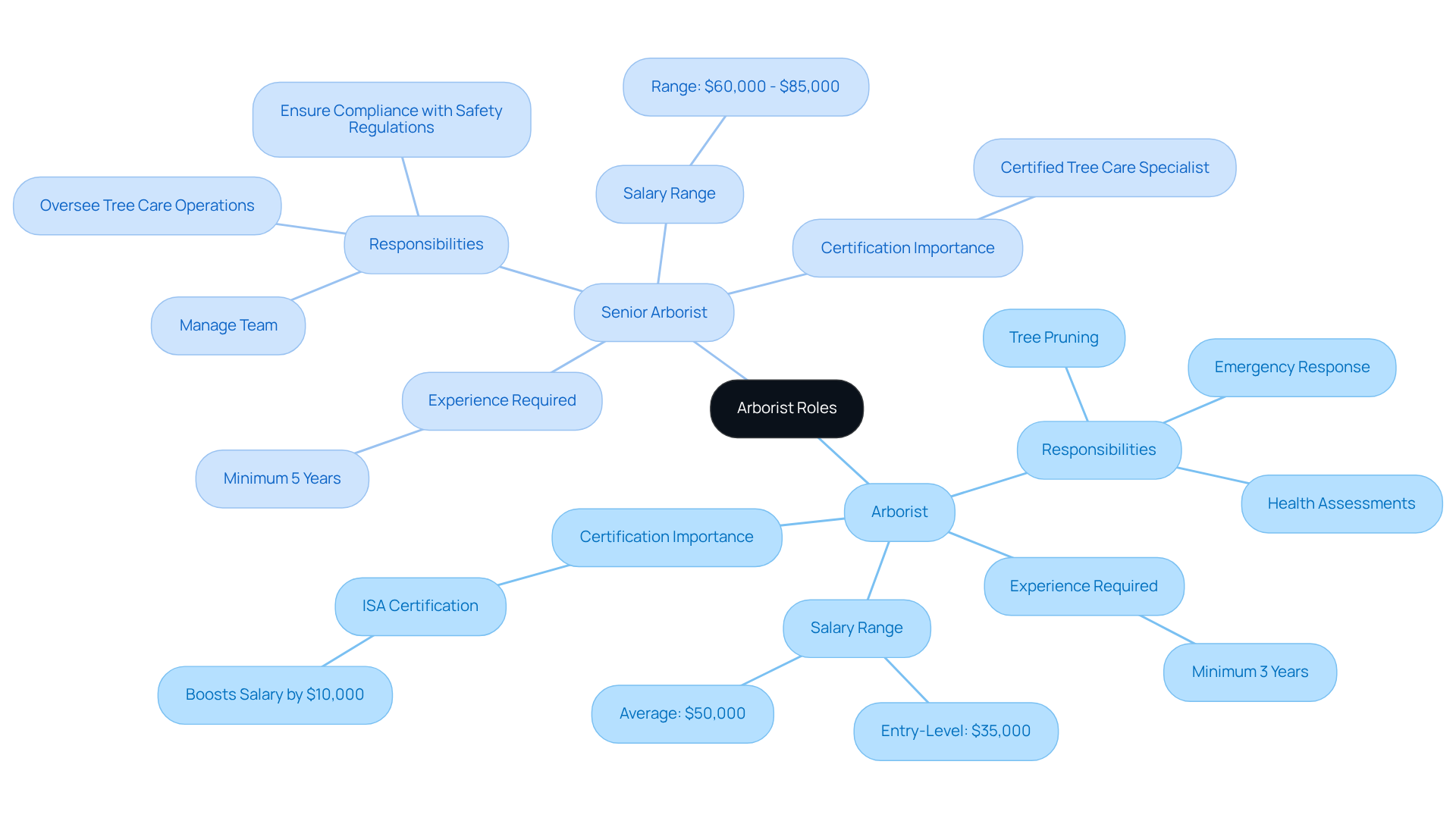 The central node represents the broad category of arborist roles. Each branch highlights specific job descriptions, with further branches detailing responsibilities, experience, salary, and certifications. Larger branches signify more important roles, making it easy to understand the hierarchy.
