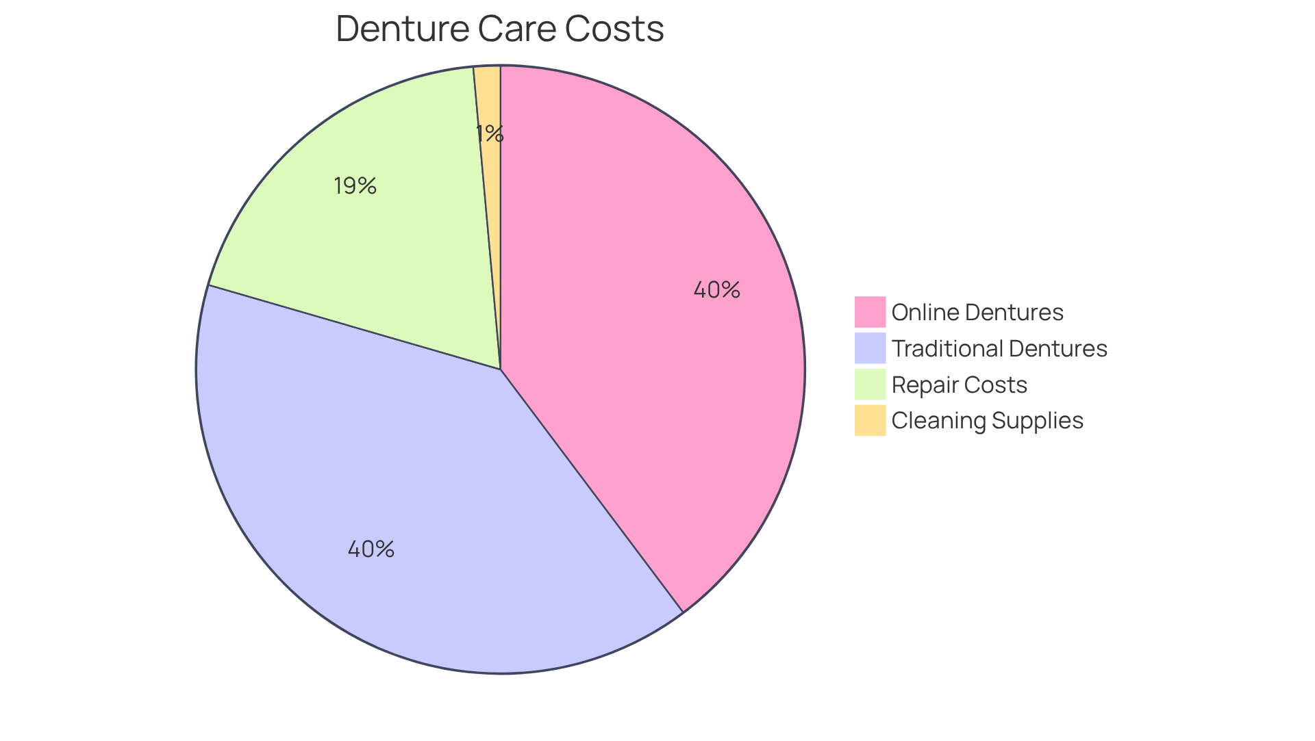 Each slice represents a different cost associated with denture care. The size of each slice shows how much each cost category contributes to the overall expense. A larger slice means that category costs more.
