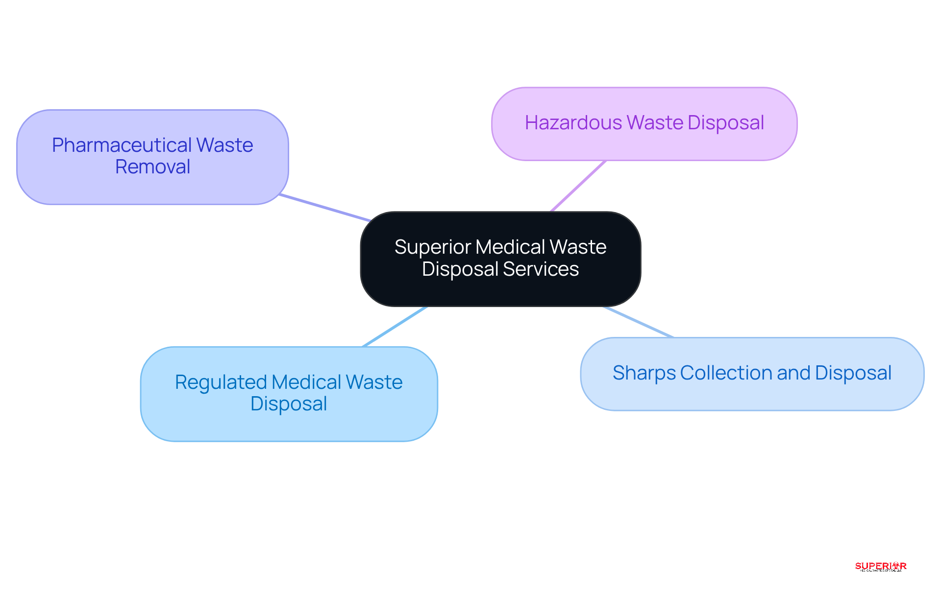 The central node represents the main service provider, while the branches show the specific services offered. Each color-coded branch helps you quickly identify the different areas of focus within medical waste management.