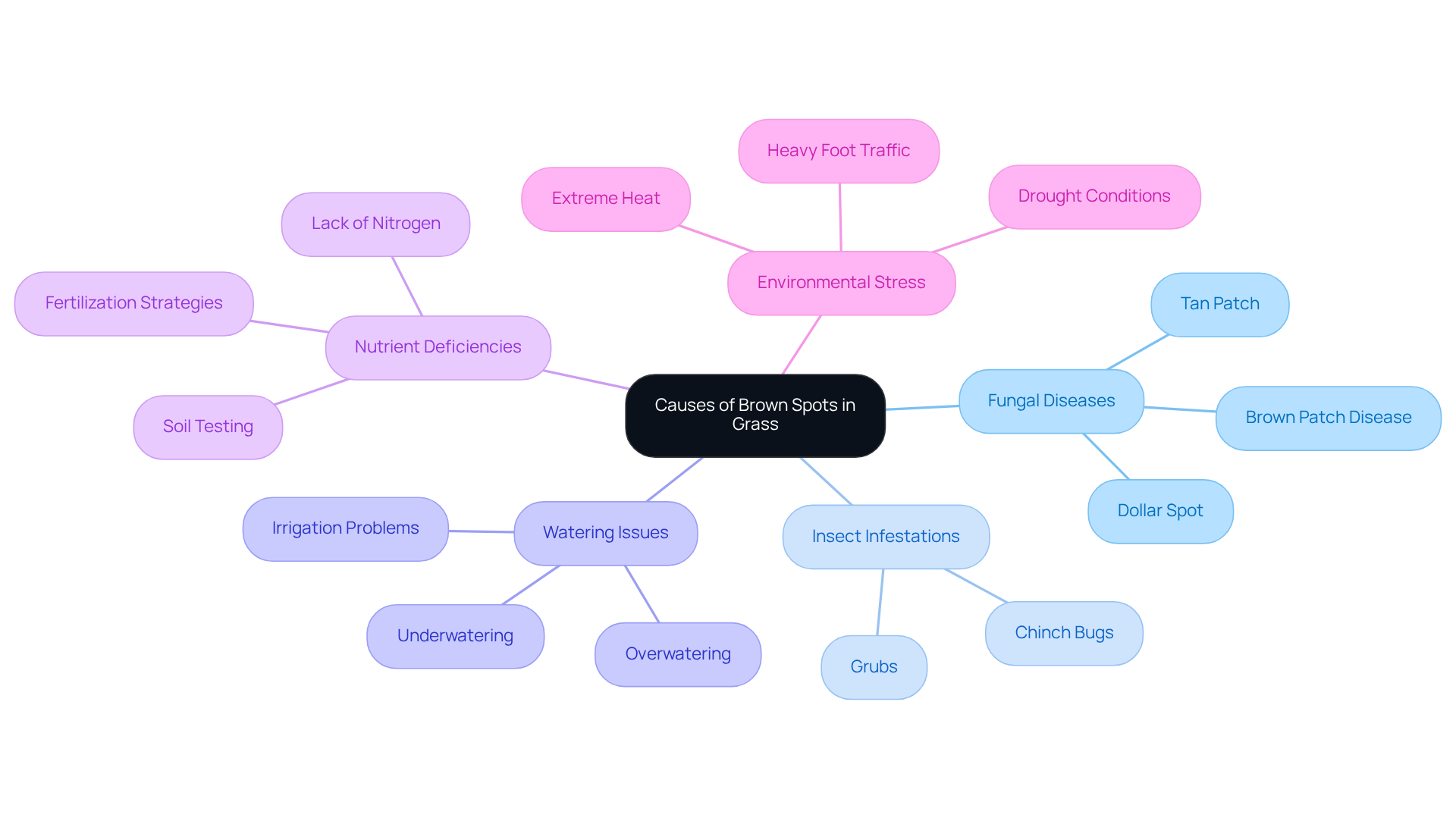 The central node represents the main topic, while the branches show different causes of brown spots. Each branch contains details that explain how these factors contribute to lawn health. The central node represents the main topic, while the branches show different causes of brown spots. Each branch contains details that explain how these factors contribute to lawn health.