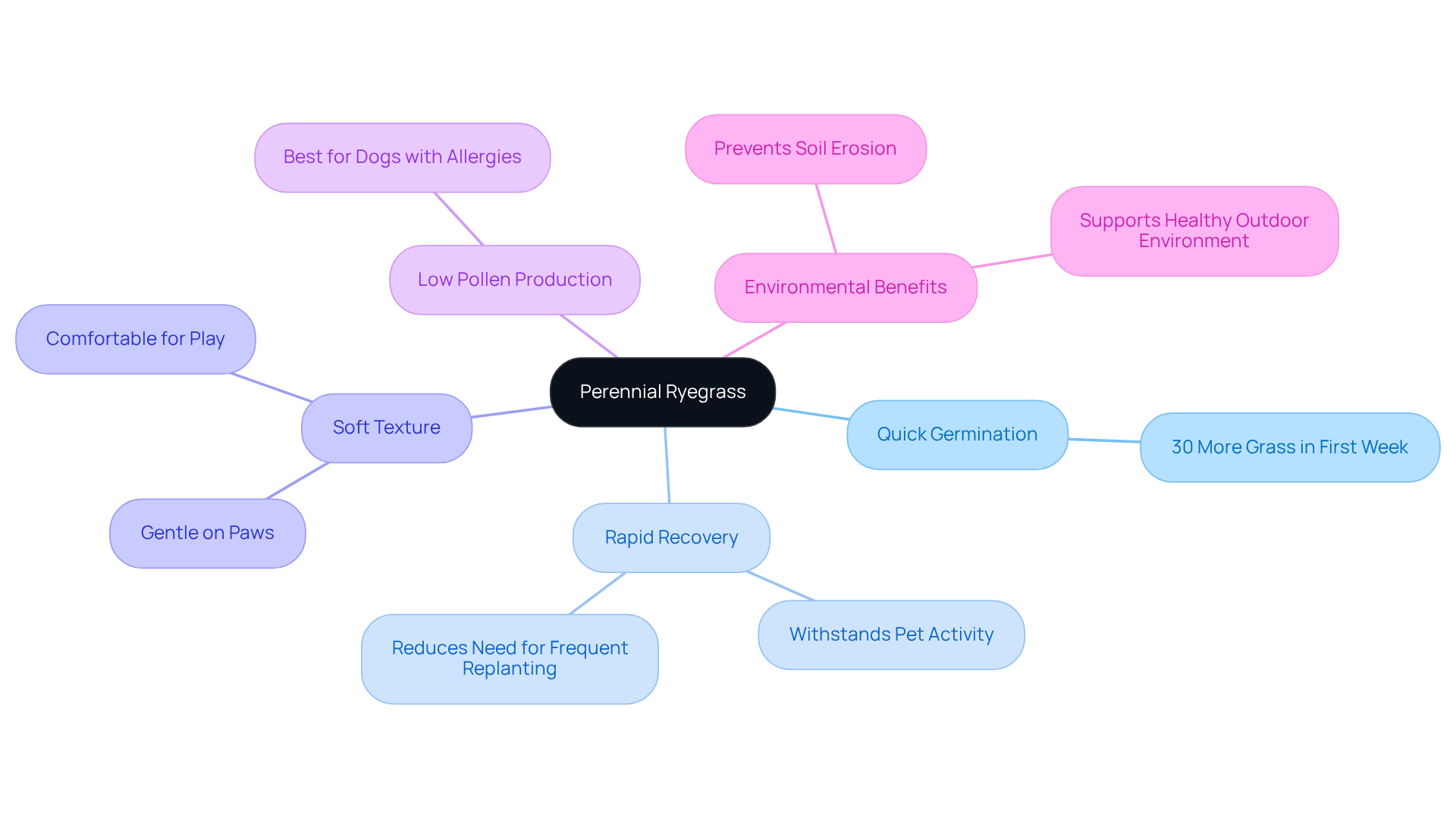 The central node represents Perennial ryegrass, and each branch highlights a specific benefit. Follow the branches to explore how this grass type supports pet-friendly environments.