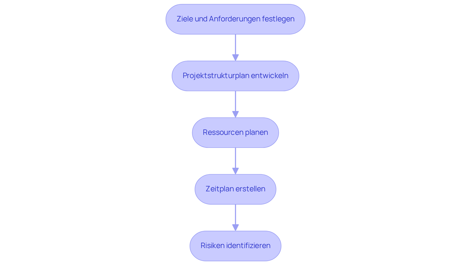 Jeder Schritt zeigt, was als Nächstes zu tun ist - folgen Sie den Pfeilen, um den Prozess von der Zielsetzung bis zur Risikobewertung zu sehen. Jeder Schritt zeigt, was als Nächstes zu tun ist - folgen Sie den Pfeilen, um den Prozess von der Zielsetzung bis zur Risikobewertung zu sehen.