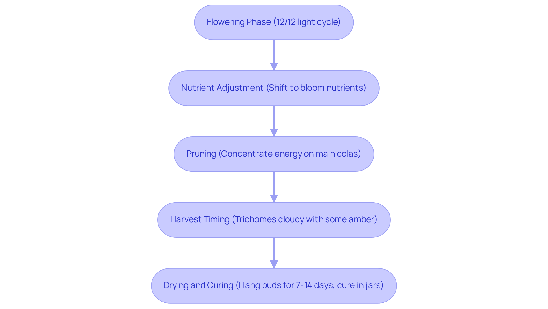 Each box represents a critical step in the process of managing the flowering and harvesting of the Bubblegum Gelato strain. Follow the arrows to understand the order in which these steps should be taken for the best results. Each box represents a critical step in the process of managing the flowering and harvesting of the Bubblegum Gelato strain. Follow the arrows to understand the order in which these steps should be taken for the best results.