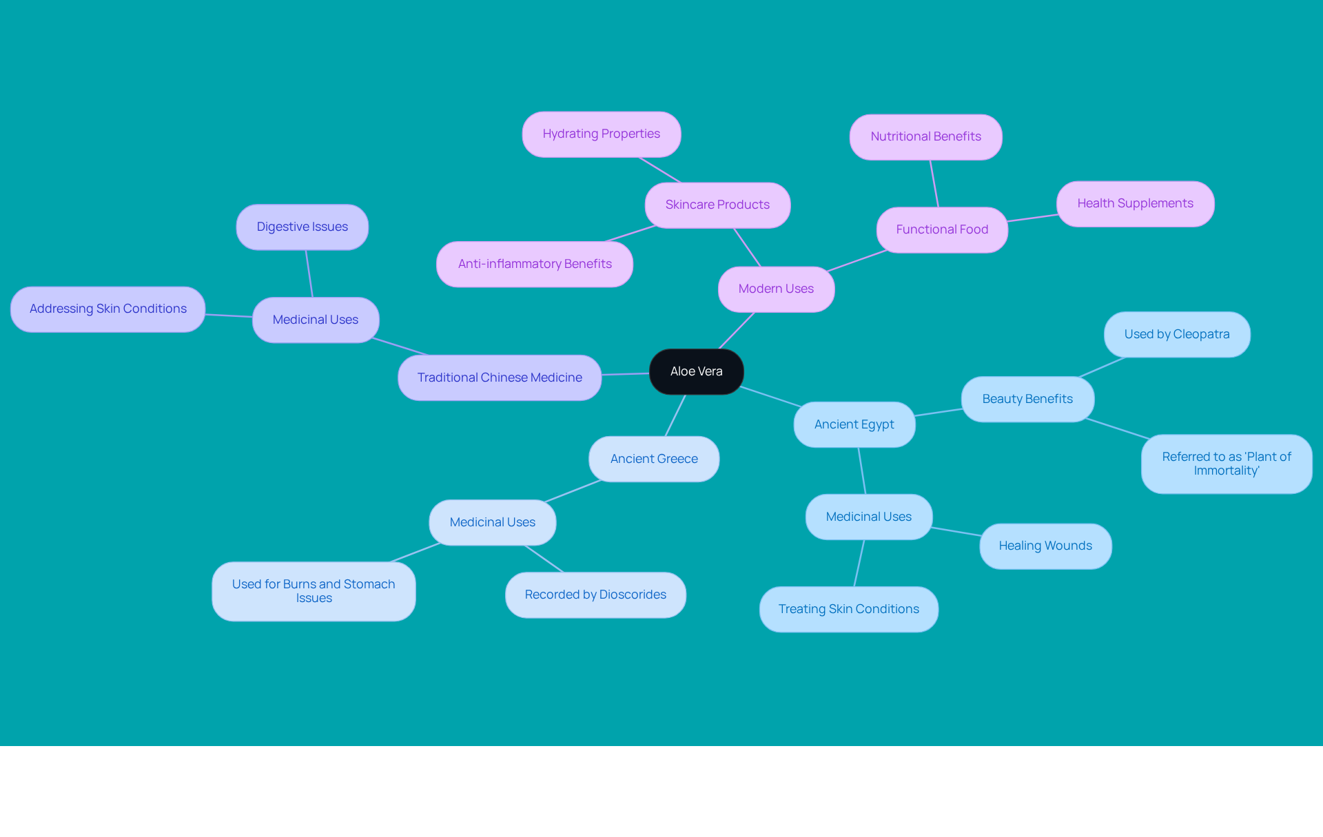 The central node represents Aloe Vera, while the branches show its historical significance in different cultures. Each sub-branch highlights specific uses, making it easy to understand how this plant has been valued through time.