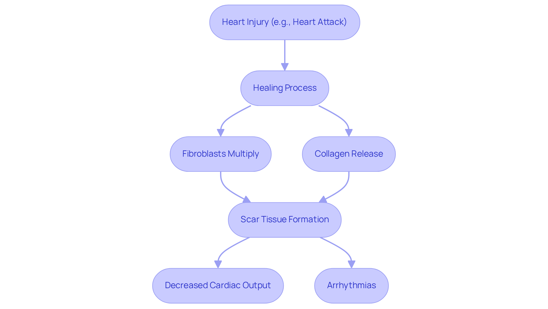 Follow the arrows to see how heart injury leads to scar tissue formation and the complications that can arise. Each box represents a key step in the process, helping you understand how these events are interconnected. Follow the arrows to see how heart injury leads to scar tissue formation and the complications that can arise. Each box represents a key step in the process, helping you understand how these events are interconnected.