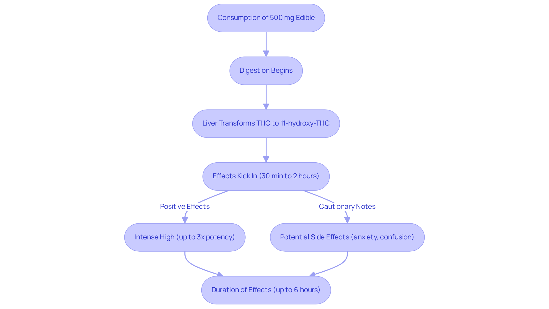 This flowchart shows the journey of a 500 mg edible from consumption to effects. Follow the arrows to see how THC is transformed and what you might experience based on your dosage. This flowchart shows the journey of a 500 mg edible from consumption to effects. Follow the arrows to see how THC is transformed and what you might experience based on your dosage.