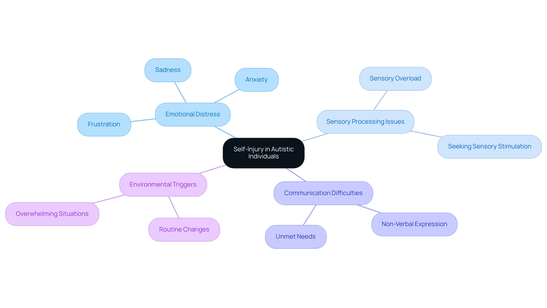 The central node represents self-injury in autistic individuals, with branches showing the four key causes and their respective explanations.