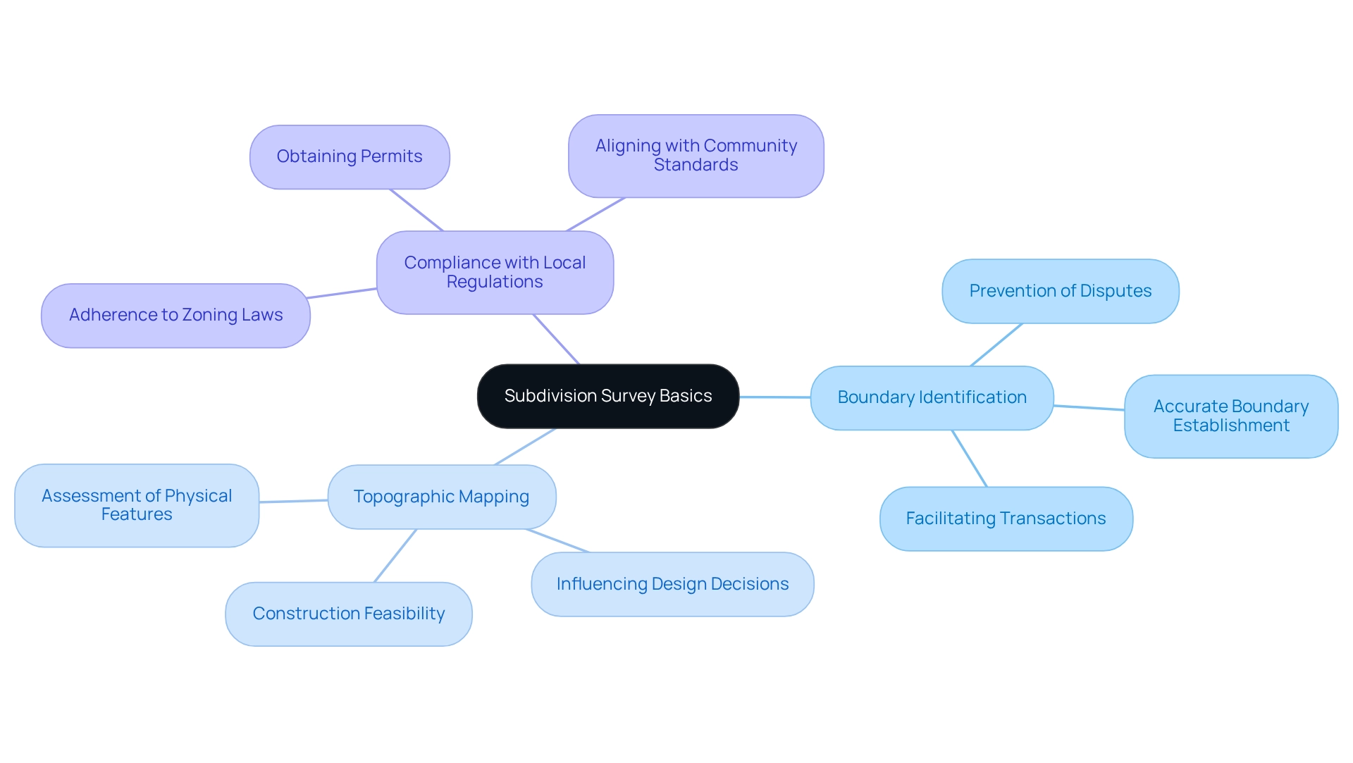 The central idea represents the overall topic, with each branch detailing key elements of subdivision surveys. Following the branches will help you understand how each component contributes to the overall process.