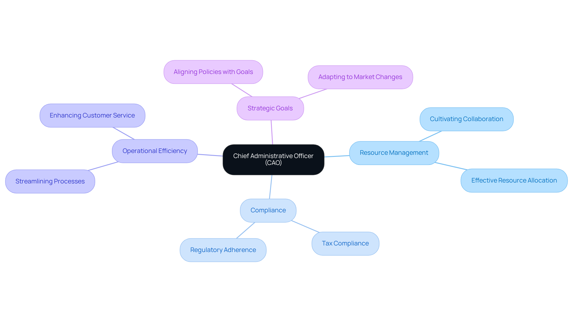 The central node represents the CAO, while the branches show the main areas of responsibility. Each sub-branch provides more detail on specific tasks or impacts, helping you understand how the CAO contributes to the organization. The central node represents the CAO, while the branches show the main areas of responsibility. Each sub-branch provides more detail on specific tasks or impacts, helping you understand how the CAO contributes to the organization.