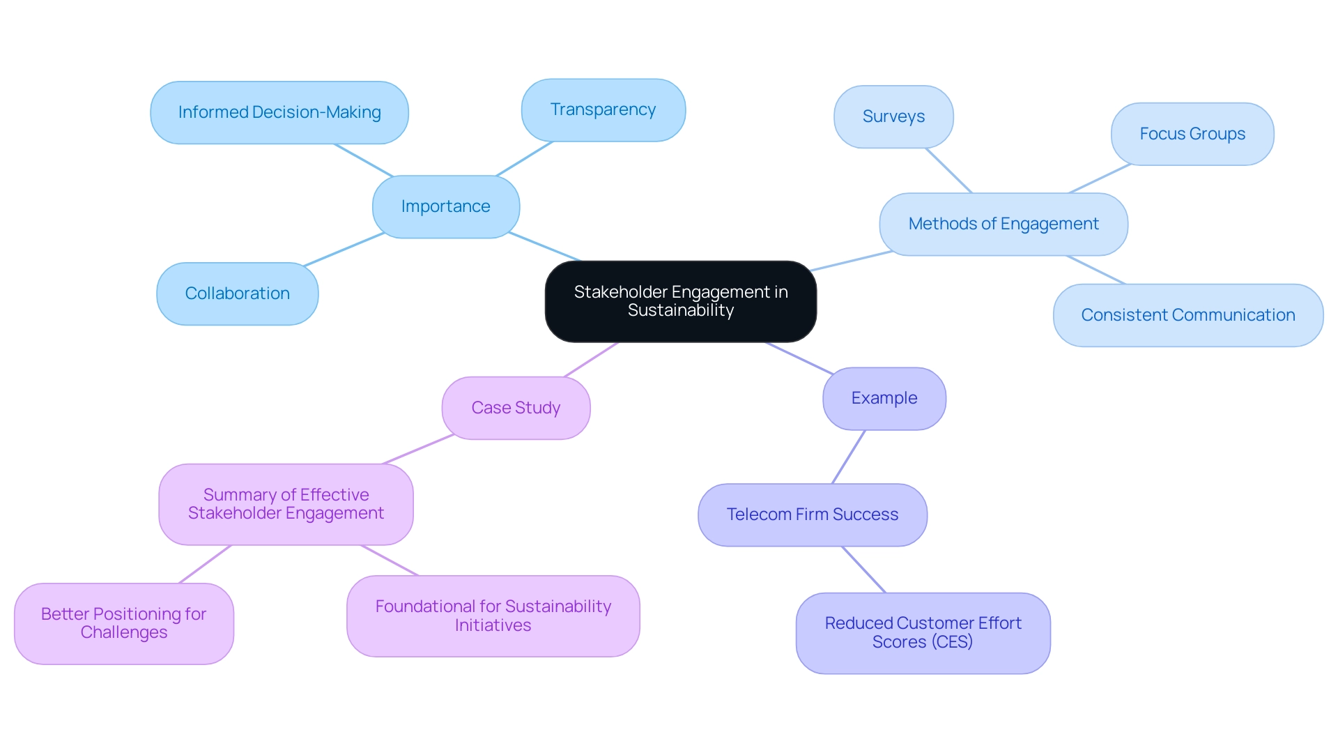 Central node represents the main theme; branches show importance, methods, examples, and case studies related to stakeholder engagement.