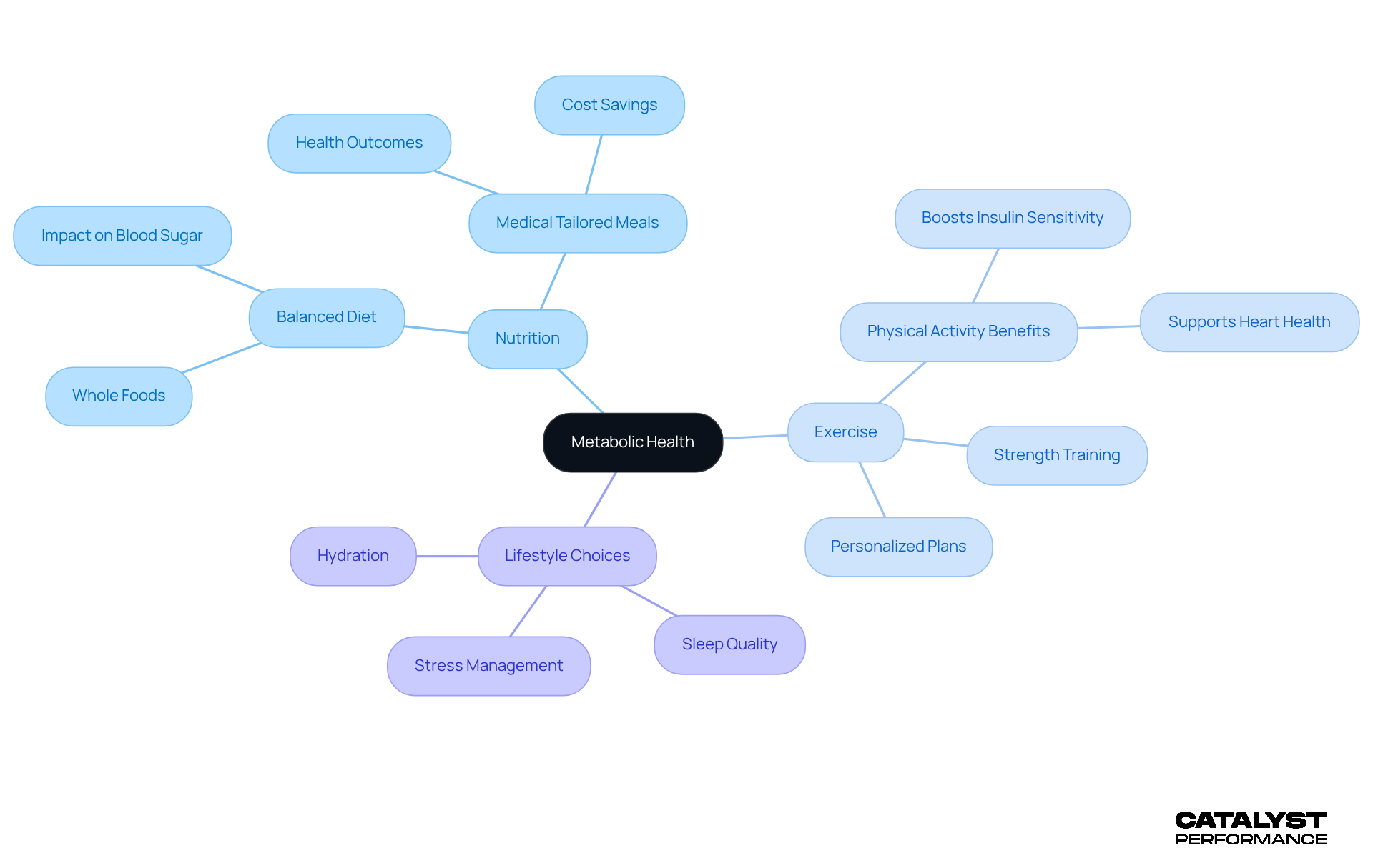 This mindmap shows the key areas that contribute to metabolic health. Each branch represents a component, and the sub-branches detail specific aspects or benefits related to that component.