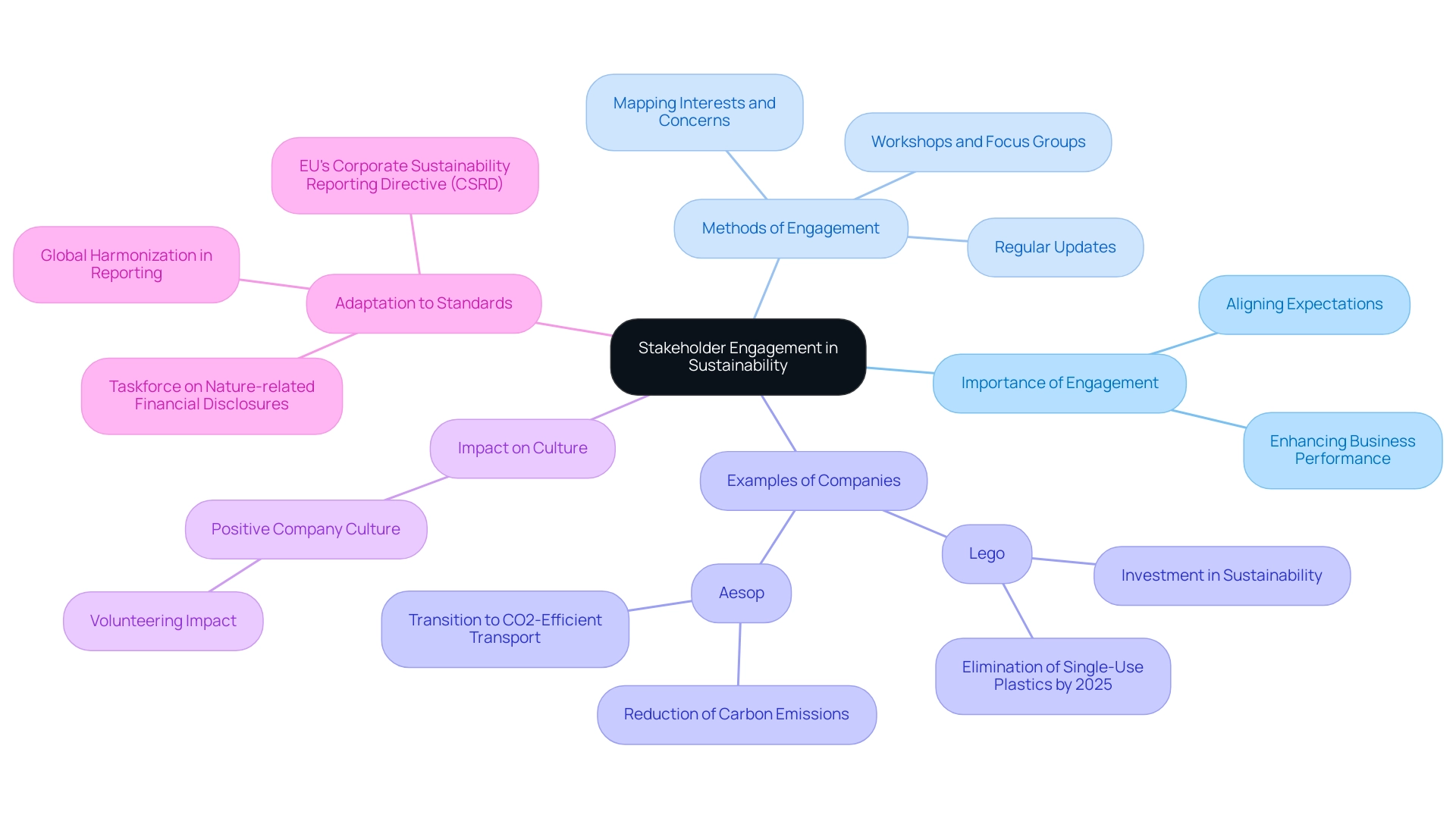 The central node represents stakeholder engagement, with branches illustrating the importance, methods, examples, cultural impact, and adaptation to standards.