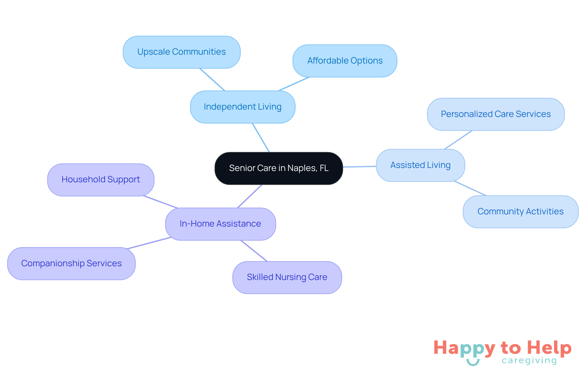 The central node represents the overall topic of senior care, while the branches show different types of care available. Each sub-branch provides more detail on specific needs and resources, helping families navigate their choices.