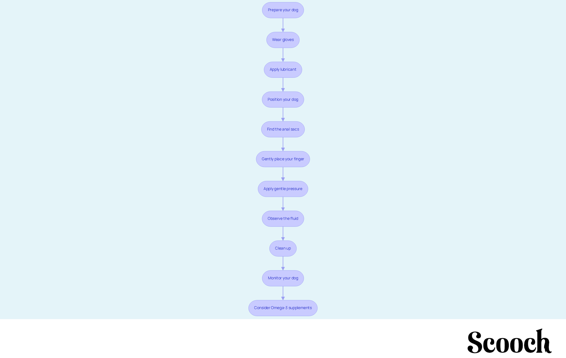 Each box represents a step in the process of checking your dog's anal glands. Follow the arrows to see how to move from one step to the next, ensuring you don't miss any important actions.