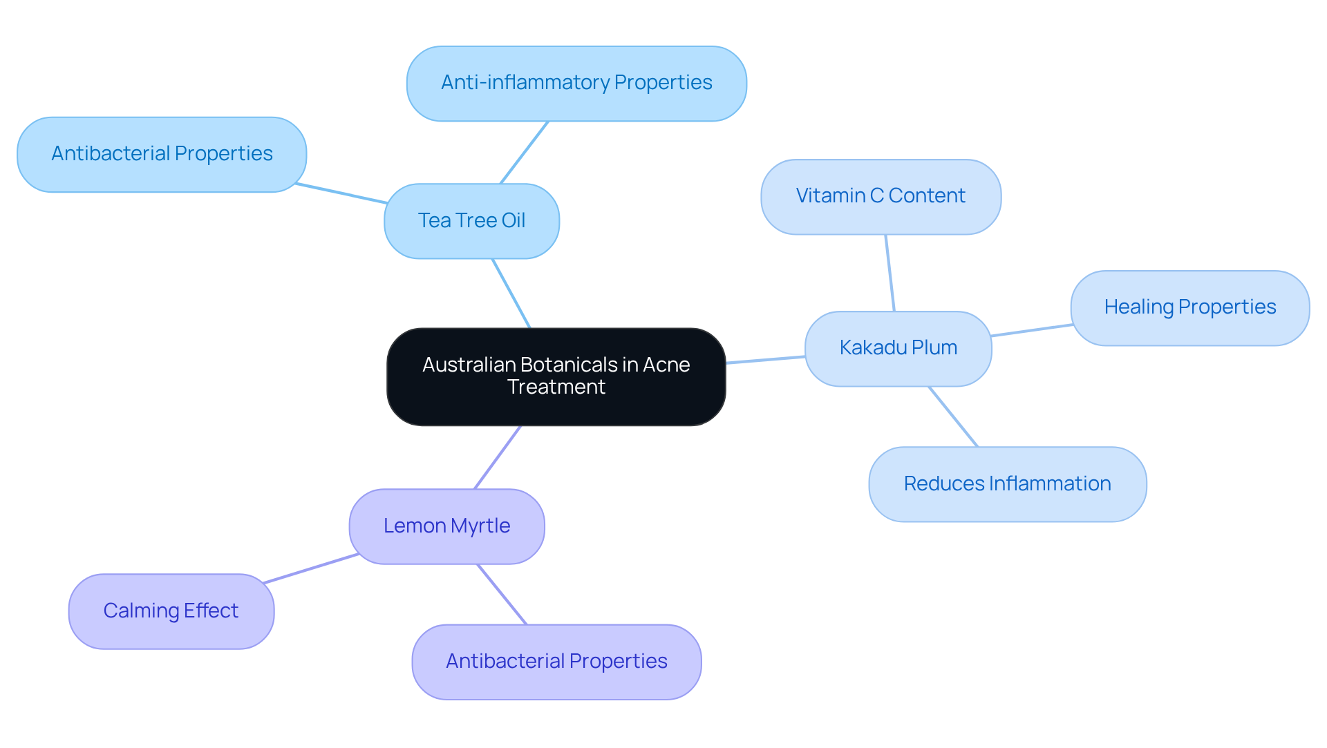 The central node represents the overall theme, while each branch highlights a specific botanical and its benefits. This layout helps you understand how each ingredient contributes to treating acne.