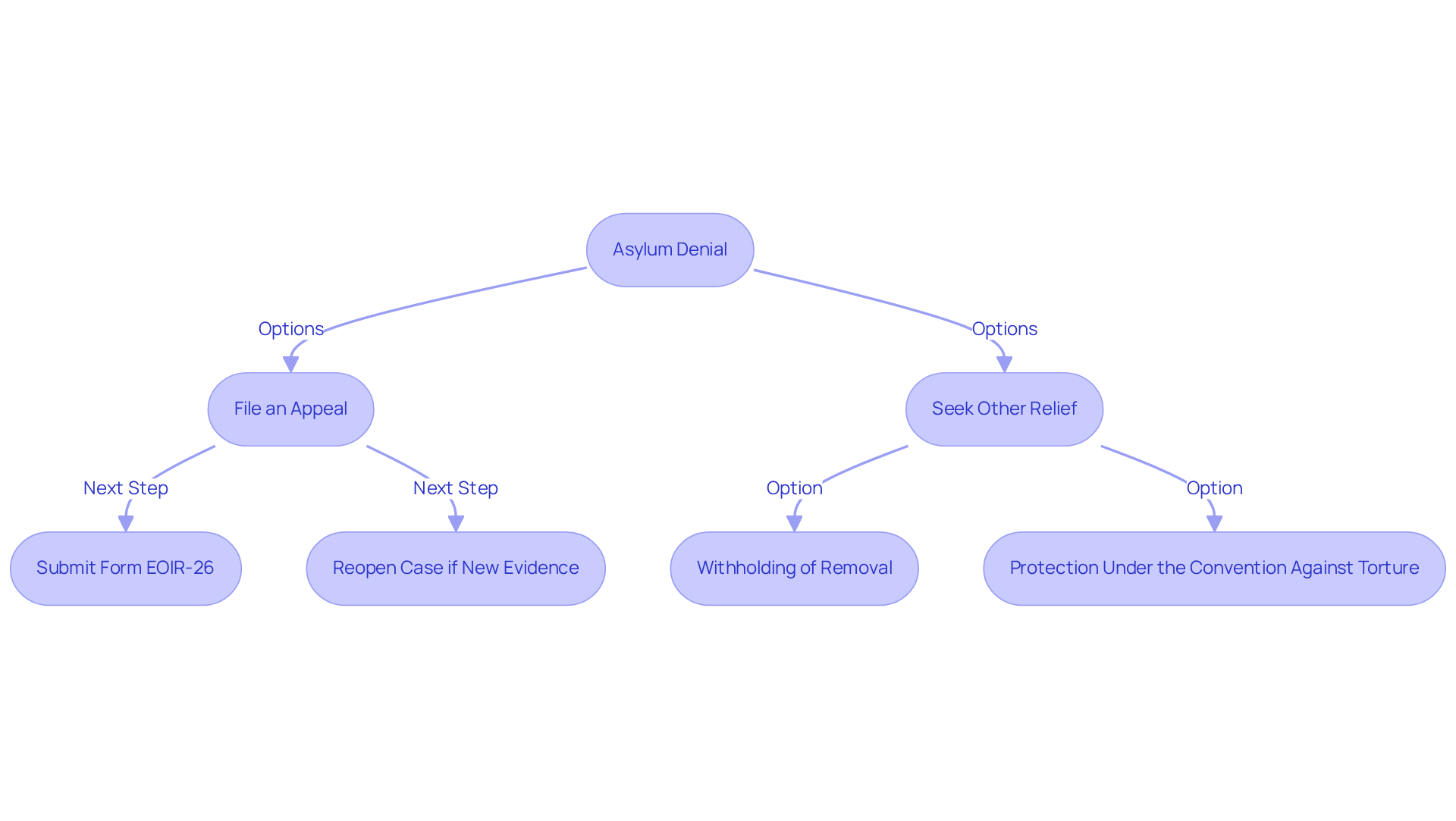 This flowchart shows the steps you can take after your asylum is denied. Follow the arrows to see your options, from filing an appeal to seeking other forms of relief.