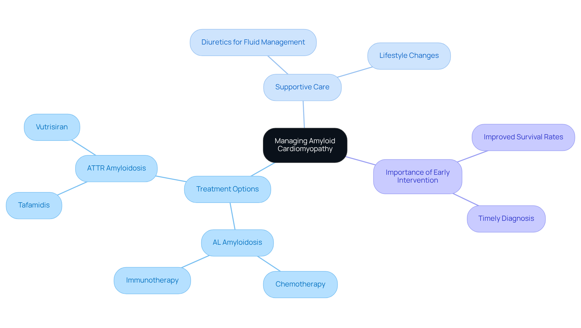 The central node represents the overall management of amyloid cardiomyopathy. Each branch shows different treatment strategies and supportive measures, helping you understand how they connect and contribute to better health. The central node represents the overall management of amyloid cardiomyopathy. Each branch shows different treatment strategies and supportive measures, helping you understand how they connect and contribute to better health.