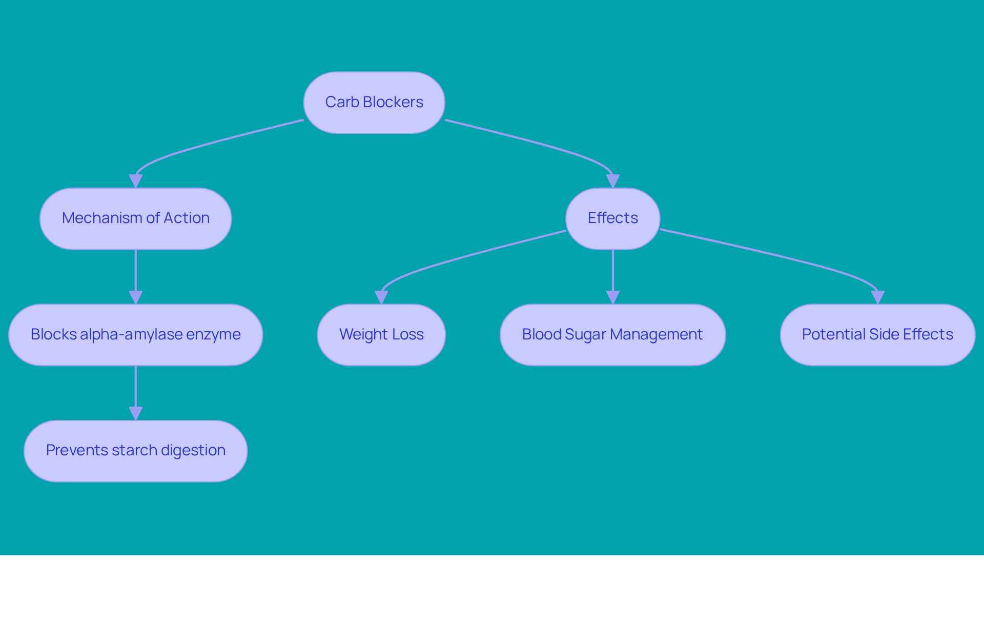 This flowchart shows how carb blockers work and their effects. Start at the top with carb blockers, follow the arrows to see how they block starch digestion, and what outcomes you can expect, including weight loss and blood sugar management. Be aware of potential side effects as you follow the flow.