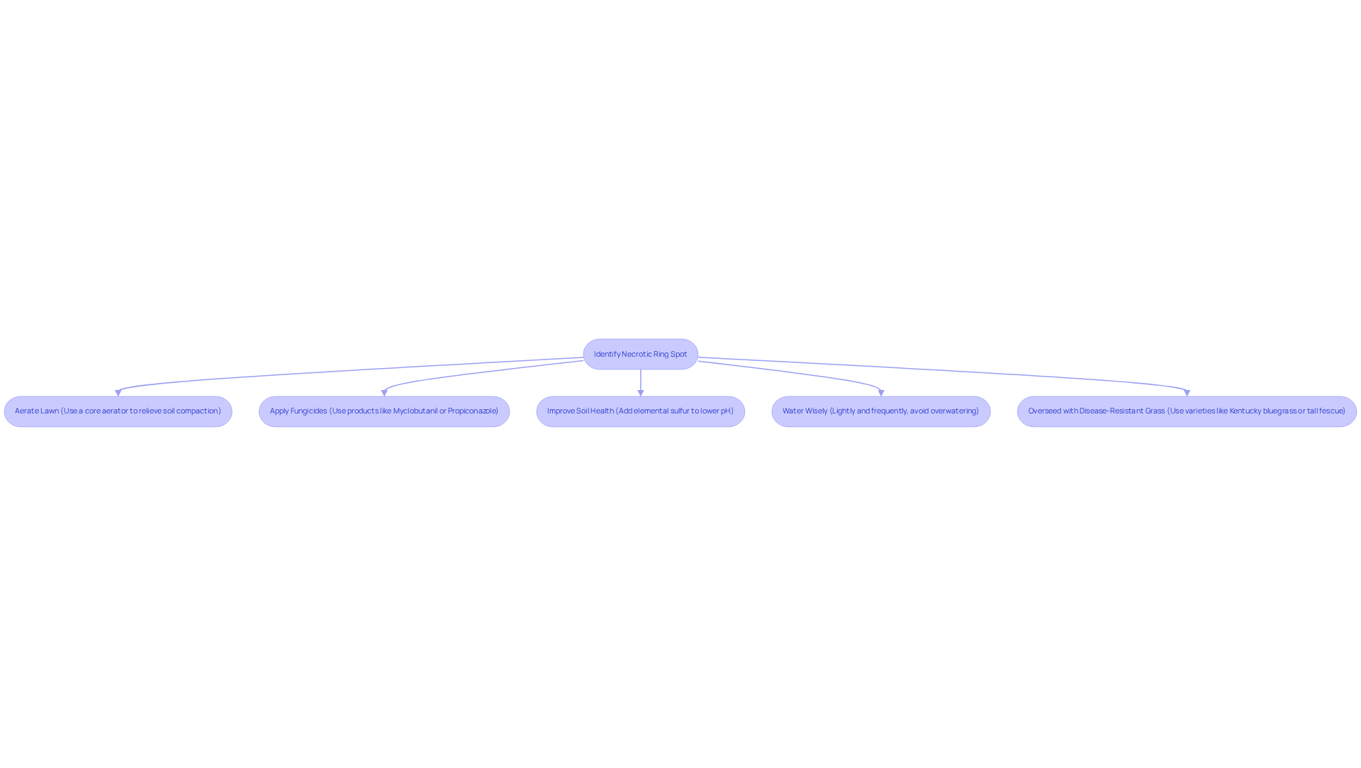 Each box represents a step in the treatment process. Follow the arrows to see the order of actions you should take to manage necrotic ring spot effectively.