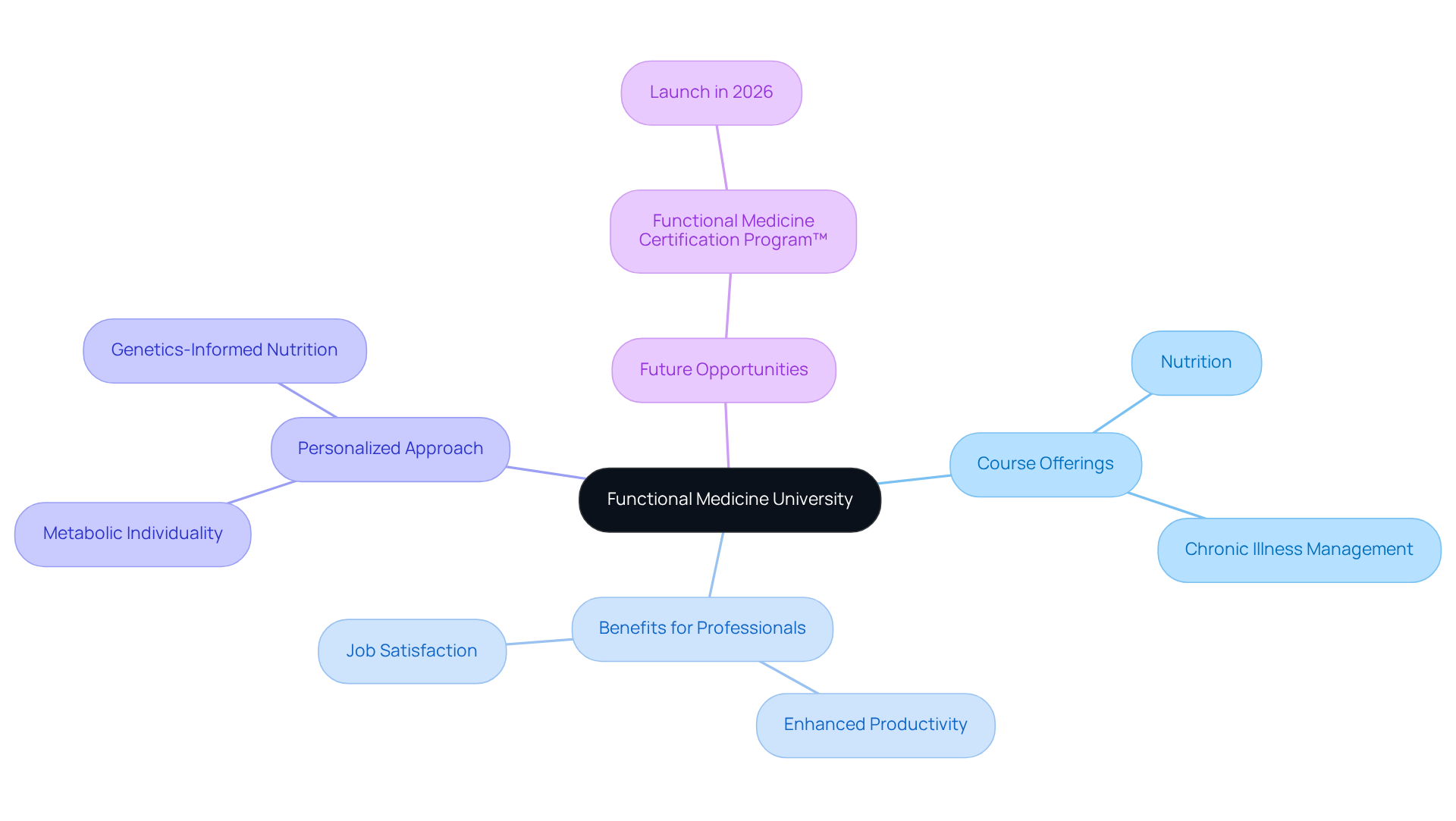 The central node represents FMU, while the branches show different aspects of their programs. Each branch highlights how FMU supports busy professionals in their wellness journey, making it easy to see the connections between education and health outcomes.