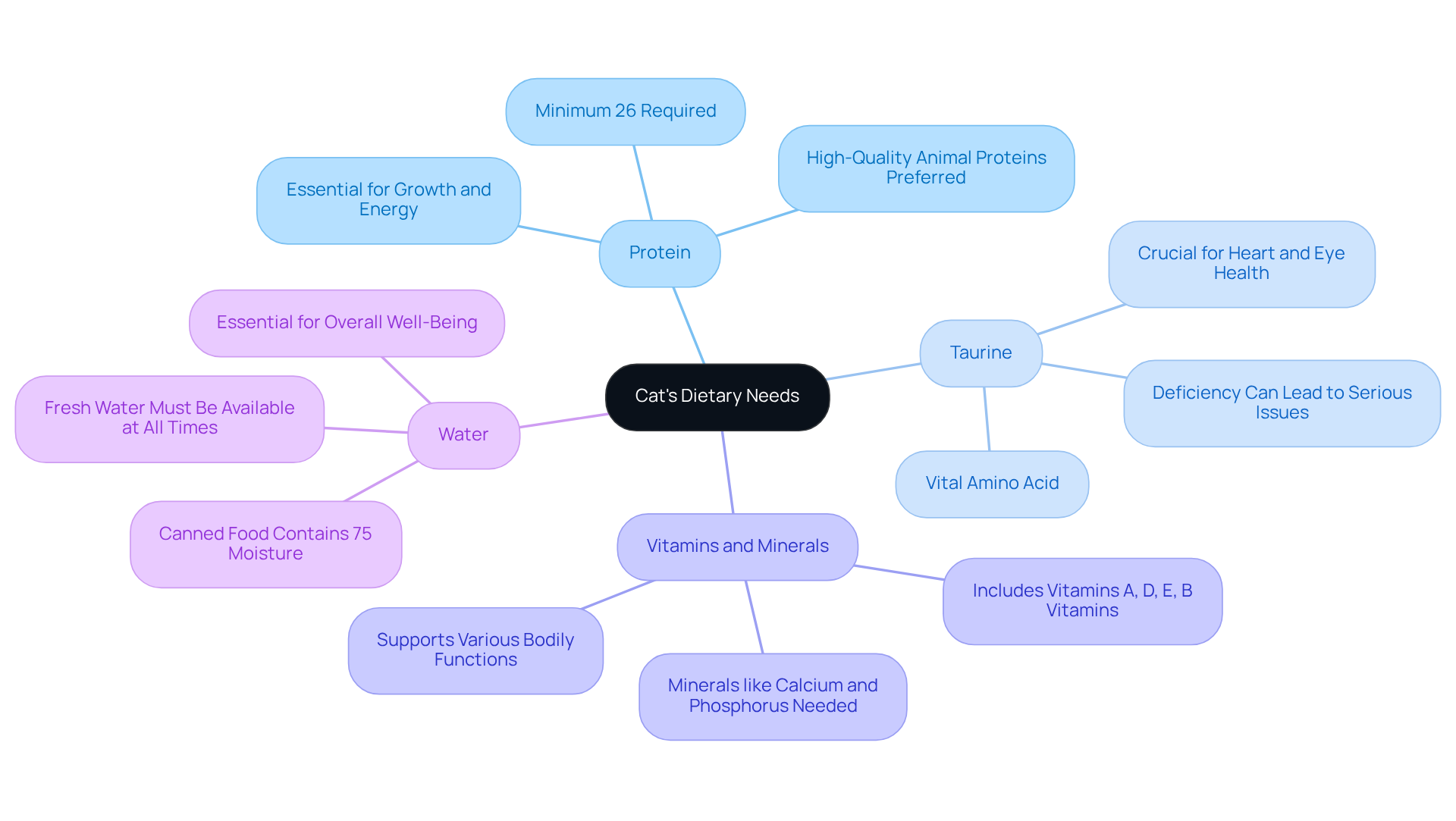 The central node represents the overall topic, while the branches show different essential dietary components. Follow each branch to explore details about what your cat needs to thrive.