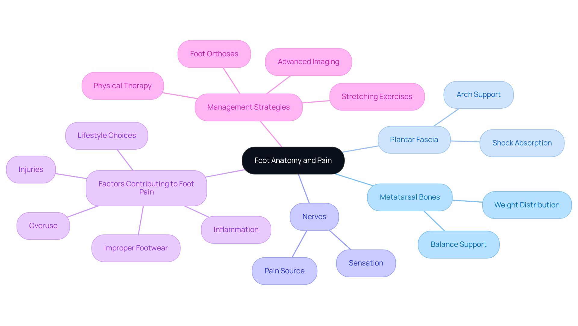 This mindmap illustrates the key components of foot anatomy and their functions. Each branch represents a different part of the foot, showing how they work together and their importance in managing pain. Follow the branches to see how each component contributes to overall foot health. This mindmap illustrates the key components of foot anatomy and their functions. Each branch represents a different part of the foot, showing how they work together and their importance in managing pain. Follow the branches to see how each component contributes to overall foot health.