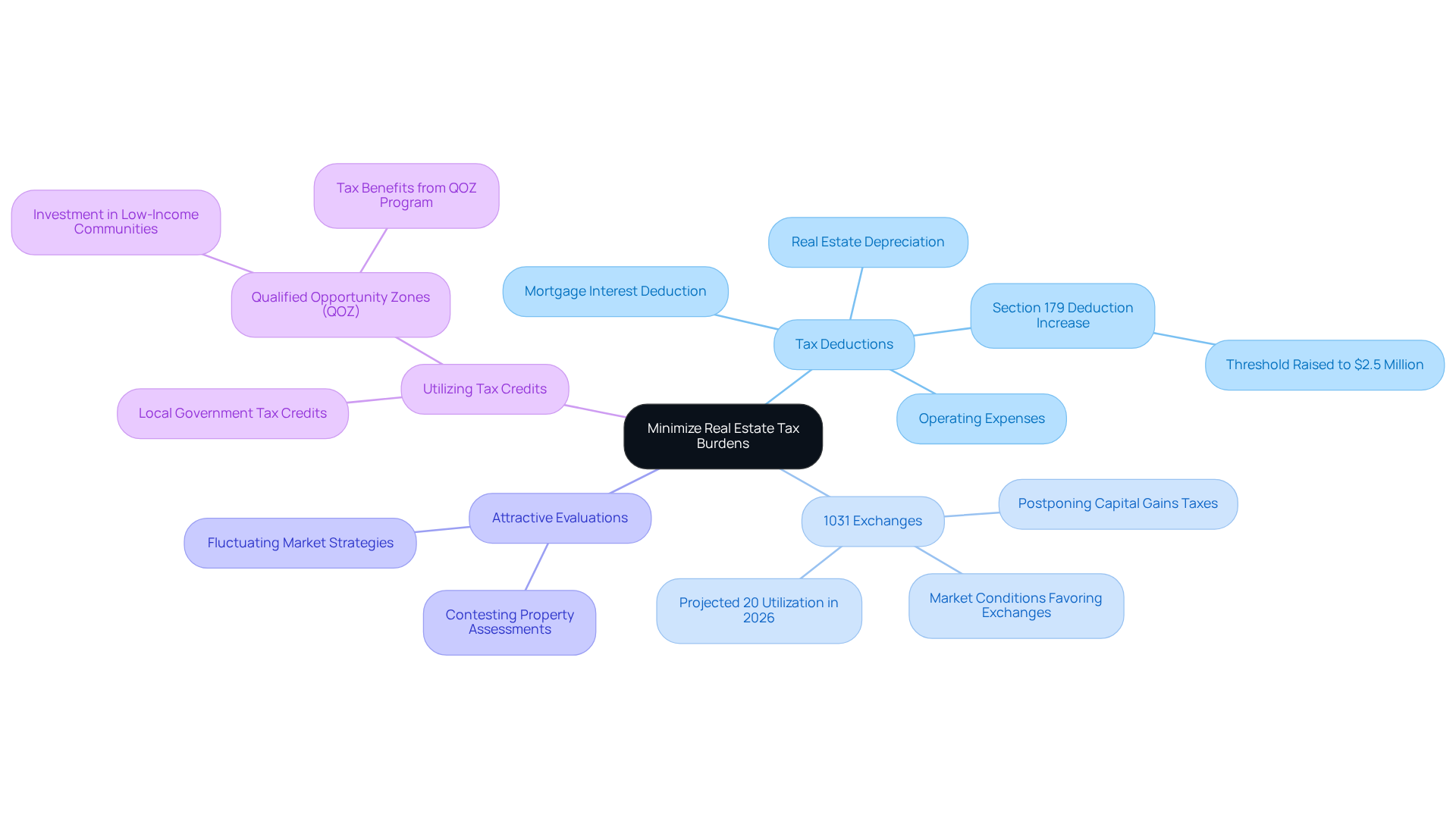 The center shows the main goal of reducing tax burdens, and each branch represents a different strategy. Follow the branches to explore specific actions that can help achieve this goal.