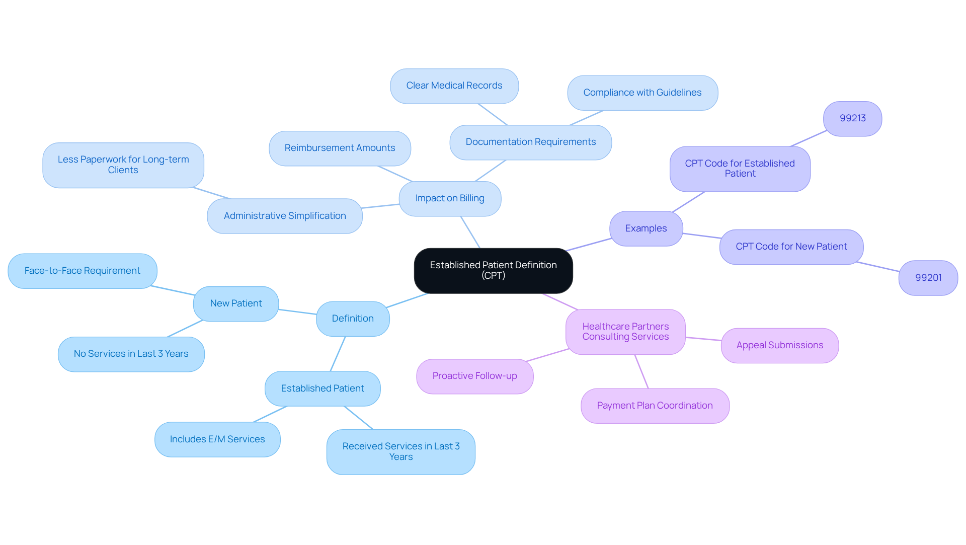The central node represents the definition of an established patient. Branches show how this definition impacts billing and the services offered to support healthcare providers in managing their billing processes.