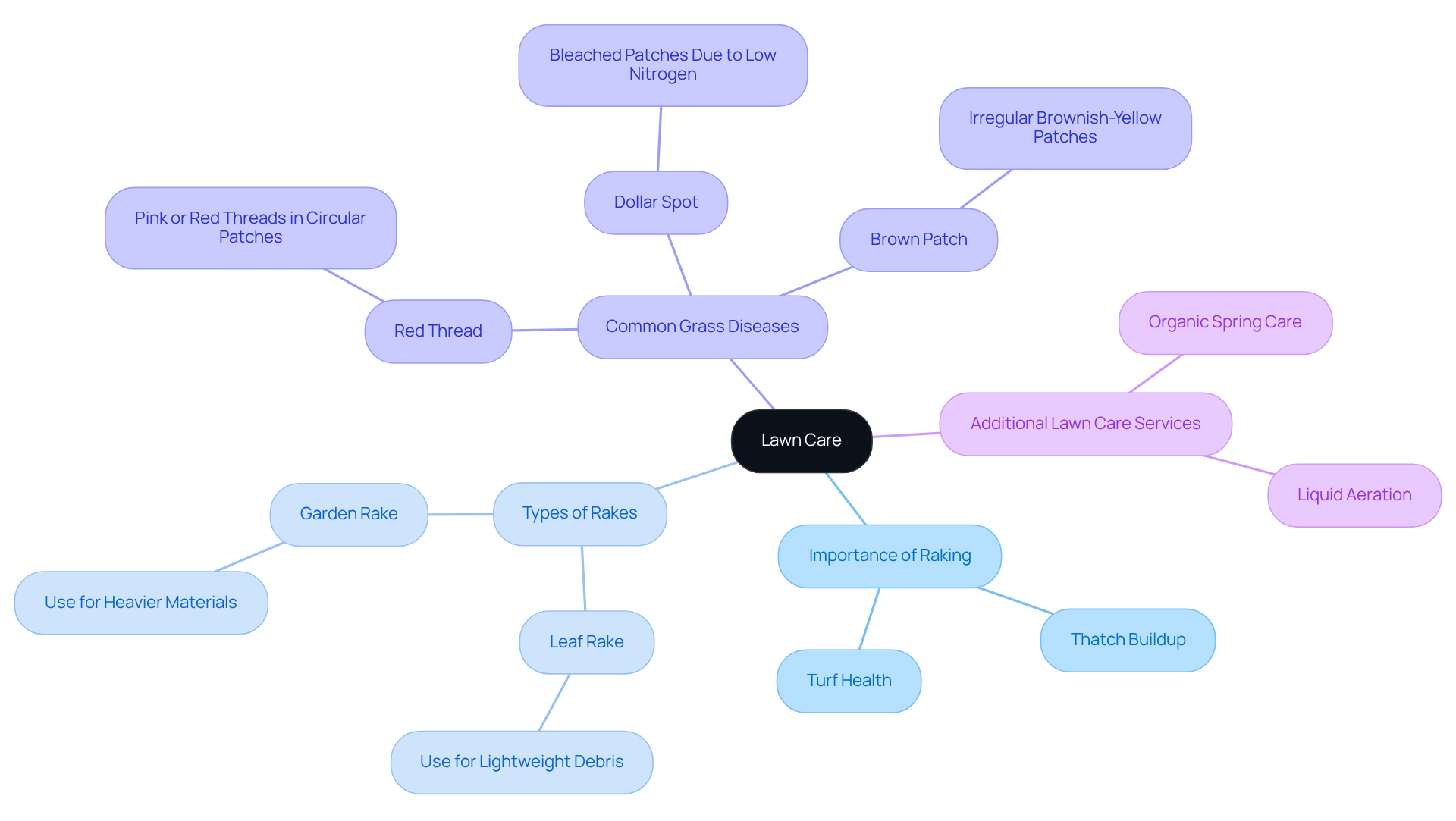 The center represents the main topic of lawn care. Each branch shows a different aspect: why raking is important, what types of rakes to use, common grass diseases to watch for, and extra services to consider for a healthy yard.