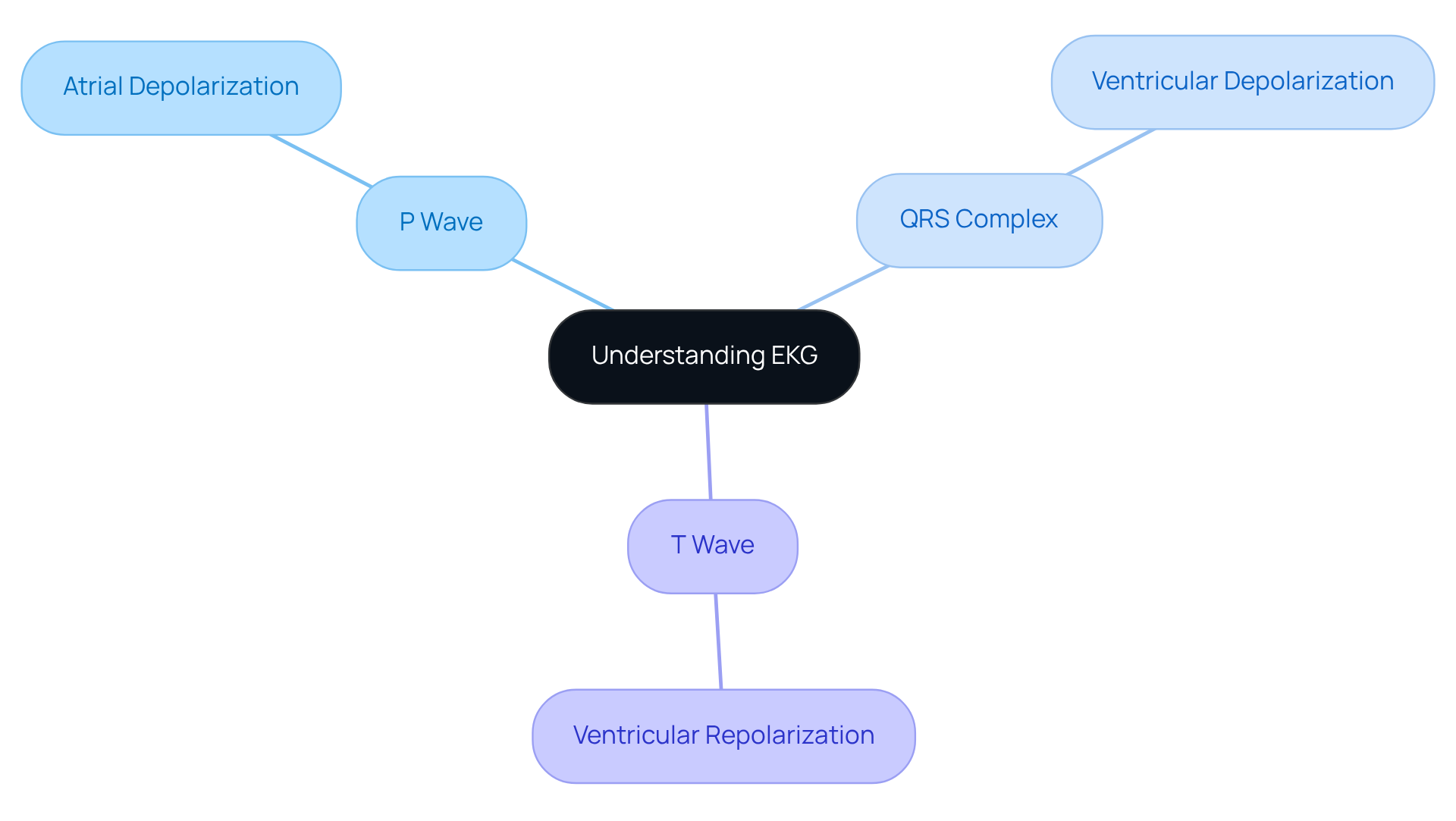 This mindmap starts with the main idea of EKGs at the center. Each branch represents a key part of the EKG, helping you understand how each component contributes to assessing heart health. Follow the branches to learn more about what each wave means!