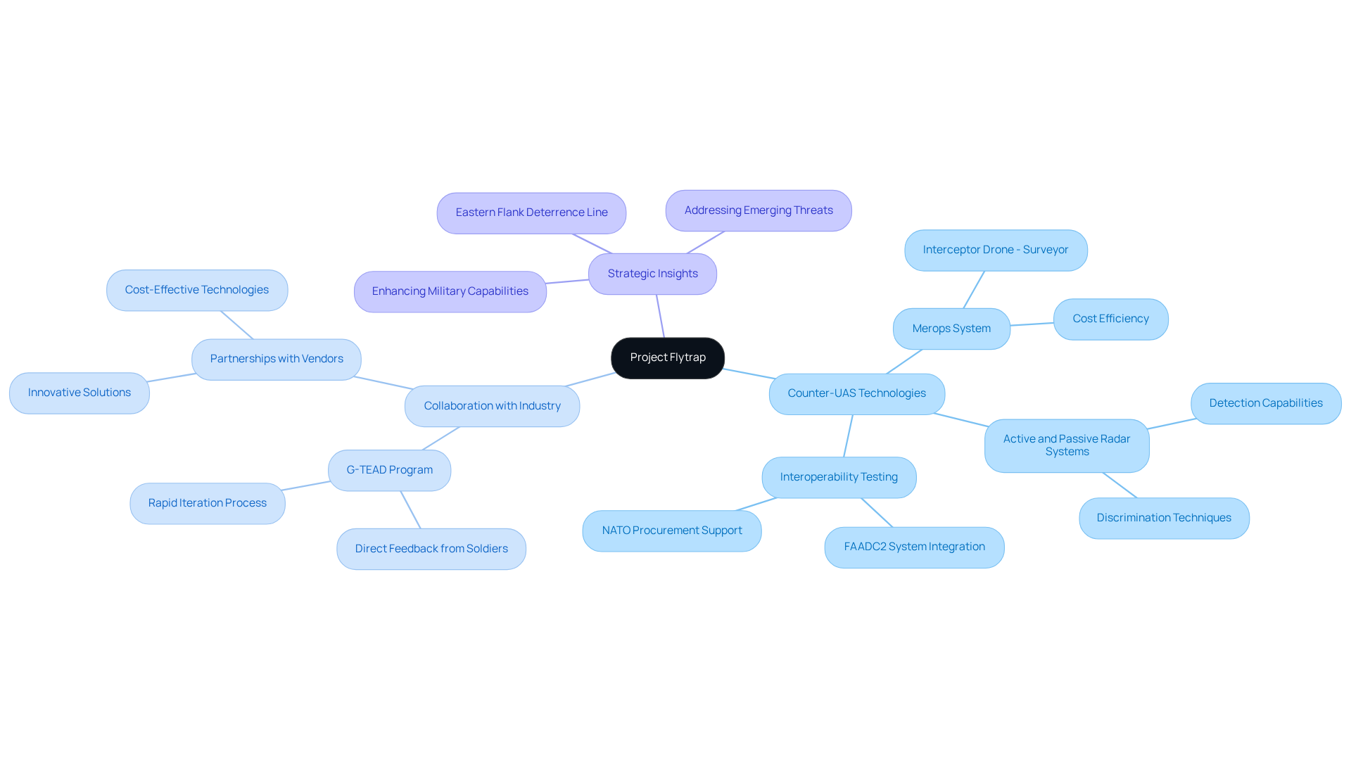 The central node represents the main project, while the branches show different focus areas and their specific components. Follow the branches to understand how each part contributes to the overall initiative.
