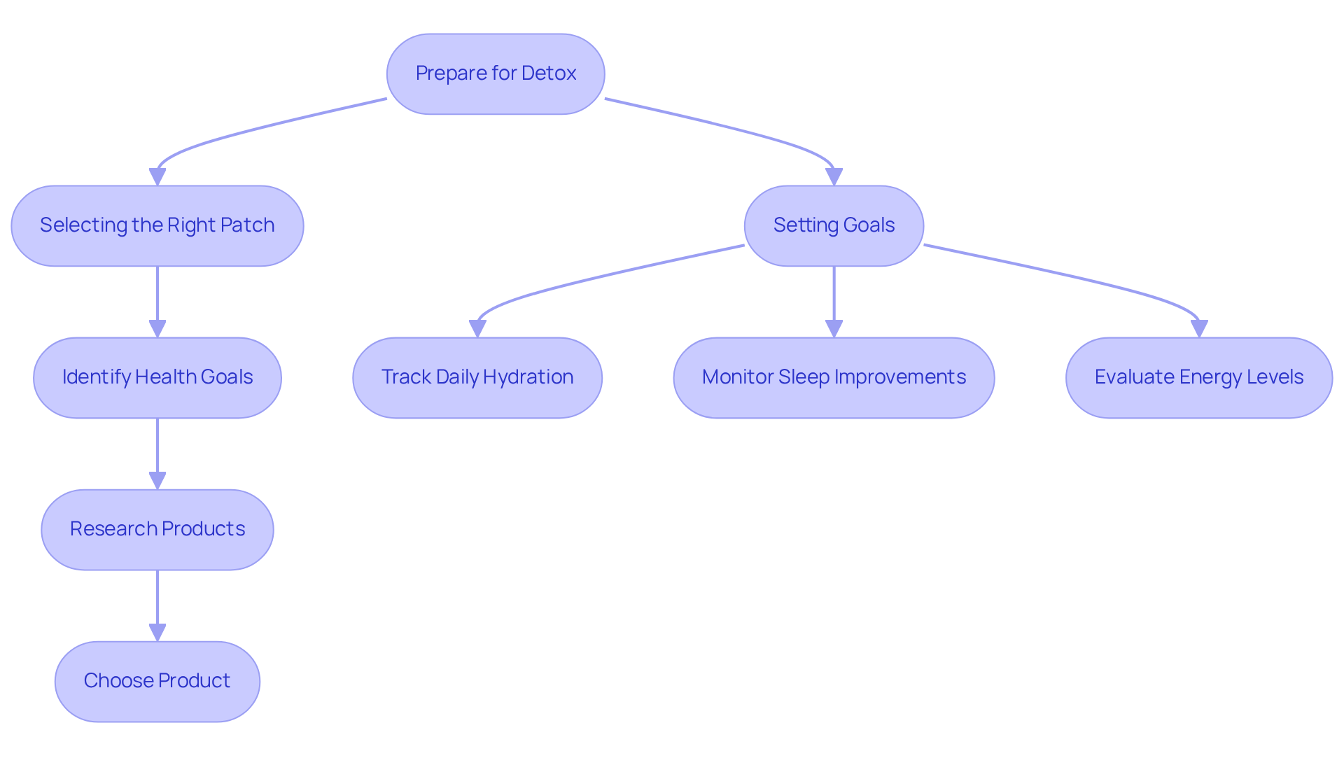 This flowchart guides you through preparing for your detox. Start at the top with the main goal, then follow the arrows to see how to choose the right product and set your health goals. Each step helps you stay focused and motivated on your journey. This flowchart guides you through preparing for your detox. Start at the top with the main goal, then follow the arrows to see how to choose the right product and set your health goals. Each step helps you stay focused and motivated on your journey.