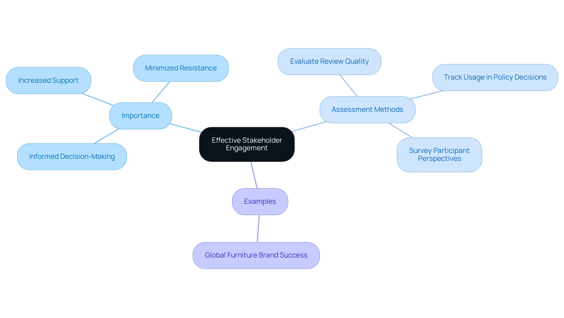 The central node represents the concept of stakeholder engagement, with branches showing its importance, assessment methods, and successful examples.