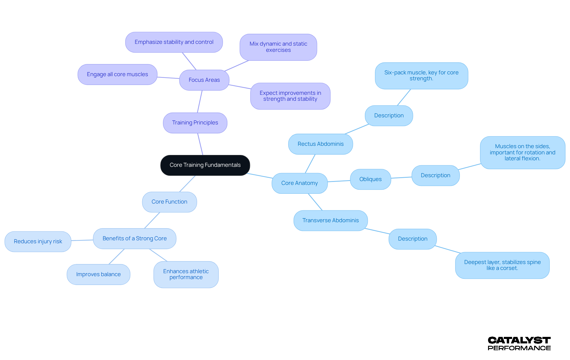 The center represents the main topic of core training, with branches showing the anatomy, function, and principles of training. Each branch breaks down into specific details, helping you understand how everything connects.