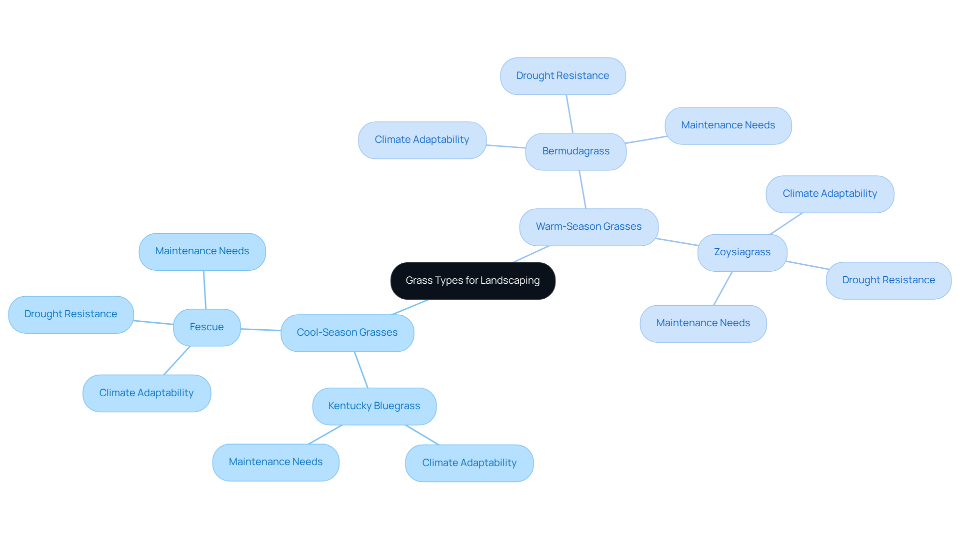 The central node represents the main topic of grass types. The branches show the two main categories of grasses, and the sub-nodes provide specific examples and traits. This layout helps you understand how different grass types relate to landscaping needs.
