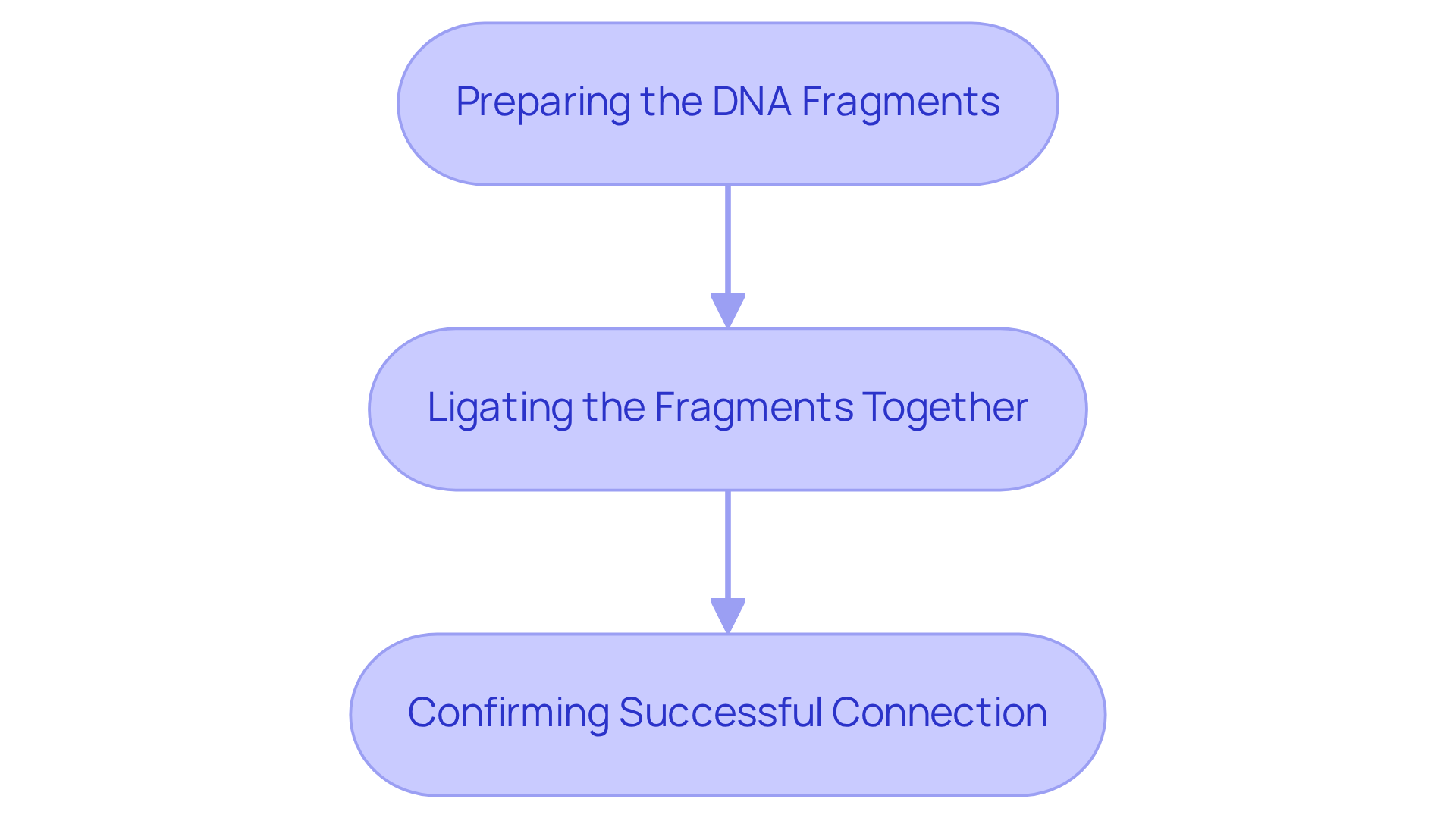 This flowchart shows the steps involved in DNA ligation. Start at the top with preparing the DNA fragments, then follow the arrows down to see how they are ligated together, and finally confirm that everything is connected properly.