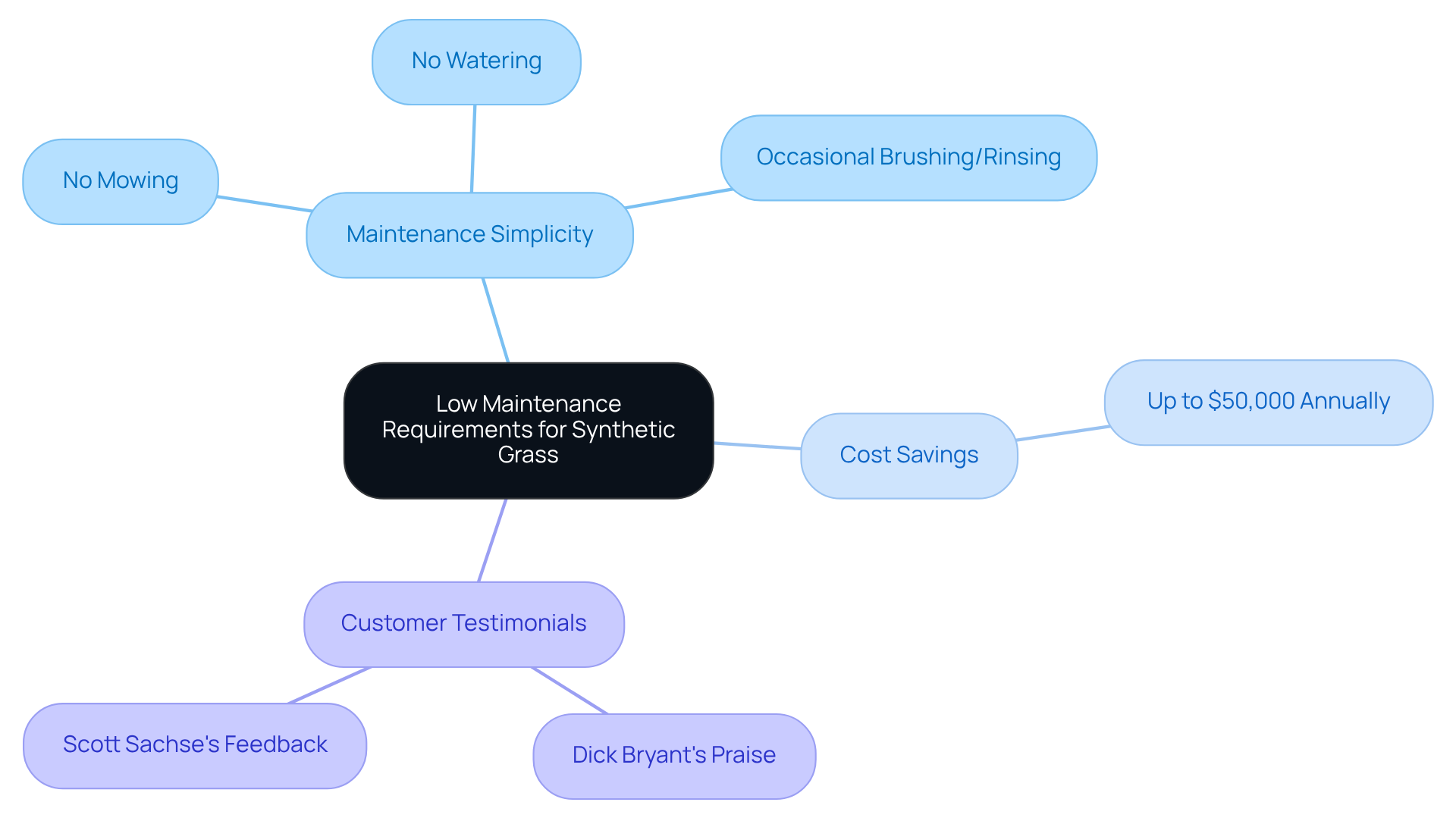 The center shows the main idea of low maintenance, with branches illustrating how it simplifies upkeep, saves money, and includes positive feedback from customers.