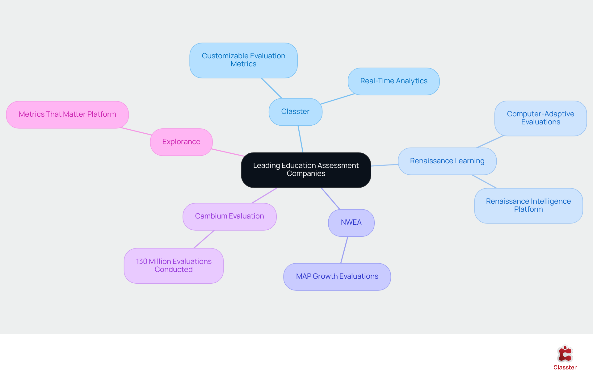 The central node represents the main topic, while each branch shows a different company. The sub-branches detail their unique features, helping you see how they contribute to educational assessment.