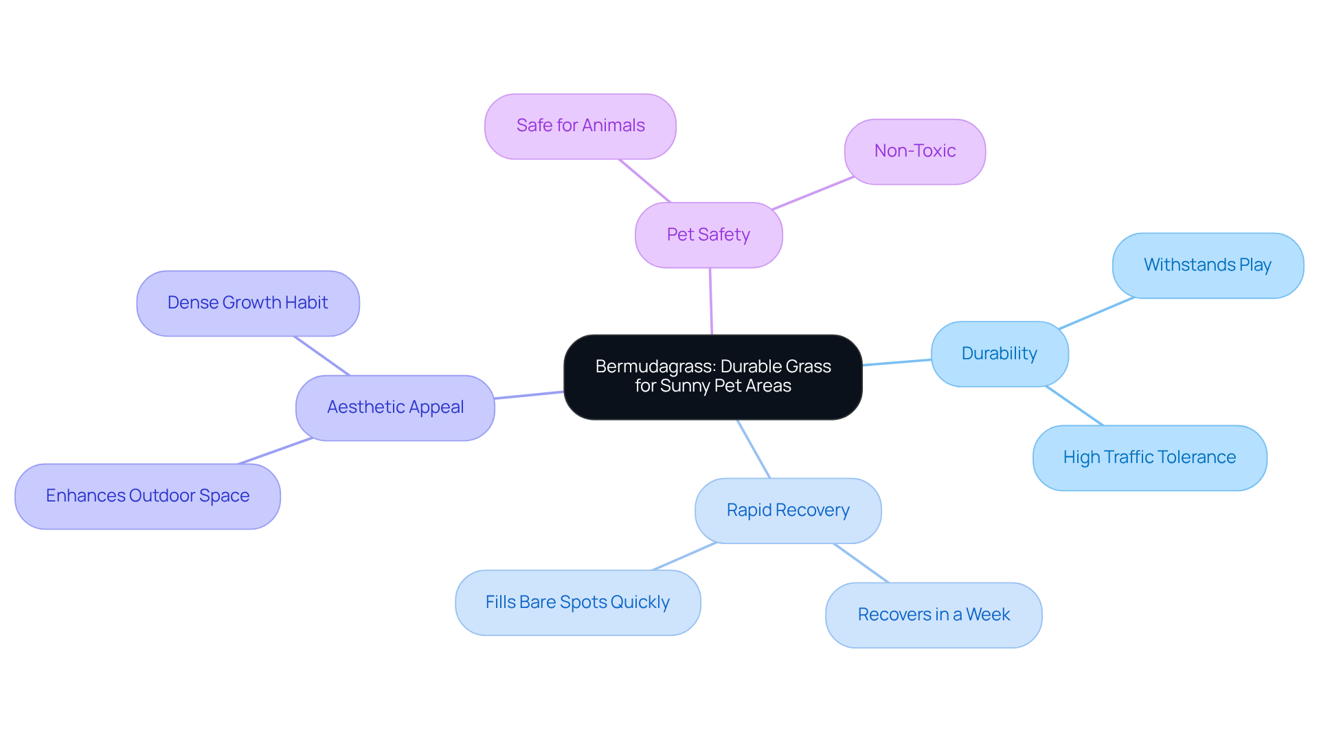 The central node represents Bermudagrass, while the branches show its key benefits. Each sub-branch provides more detail about how Bermudagrass supports a vibrant and durable environment for pets. The central node represents Bermudagrass, while the branches show its key benefits. Each sub-branch provides more detail about how Bermudagrass supports a vibrant and durable environment for pets.