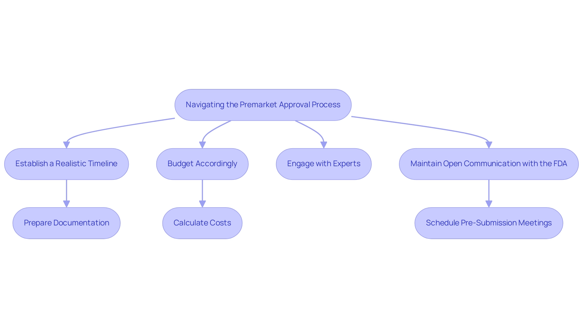 Each box represents a step in the PMA process; colors differentiate between main steps and associated actions.