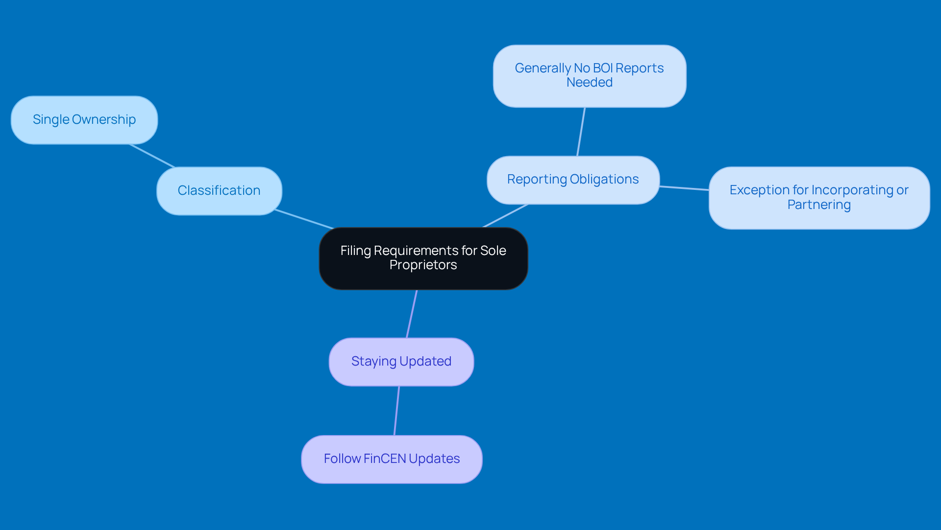 The central node represents the main topic about sole proprietors, while the branches show key aspects like how to classify your business, what reporting you might need to do, and the importance of keeping updated with regulations.