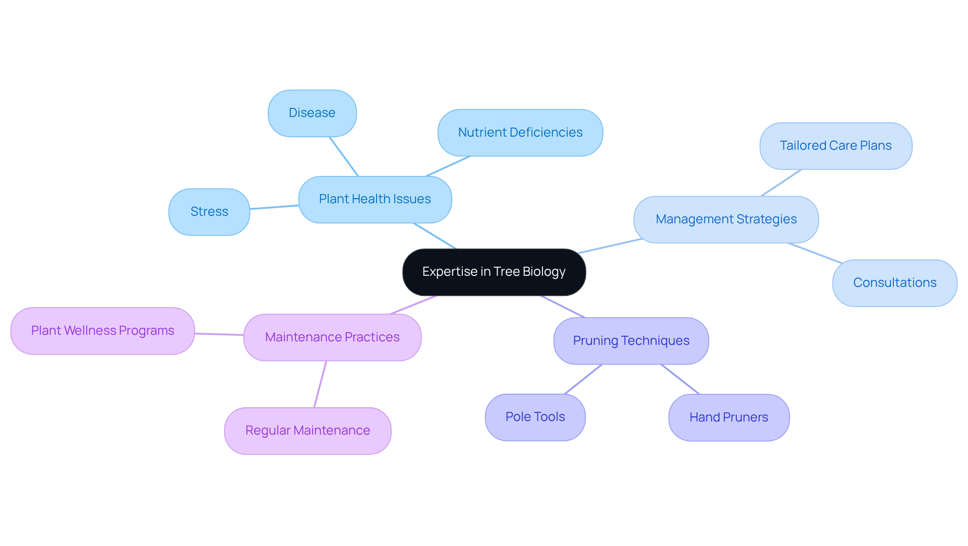 The central node represents the overall expertise, while the branches show specific areas of knowledge and practice. Each branch connects to detailed aspects of how arborists care for trees, making it easy to understand their comprehensive approach.