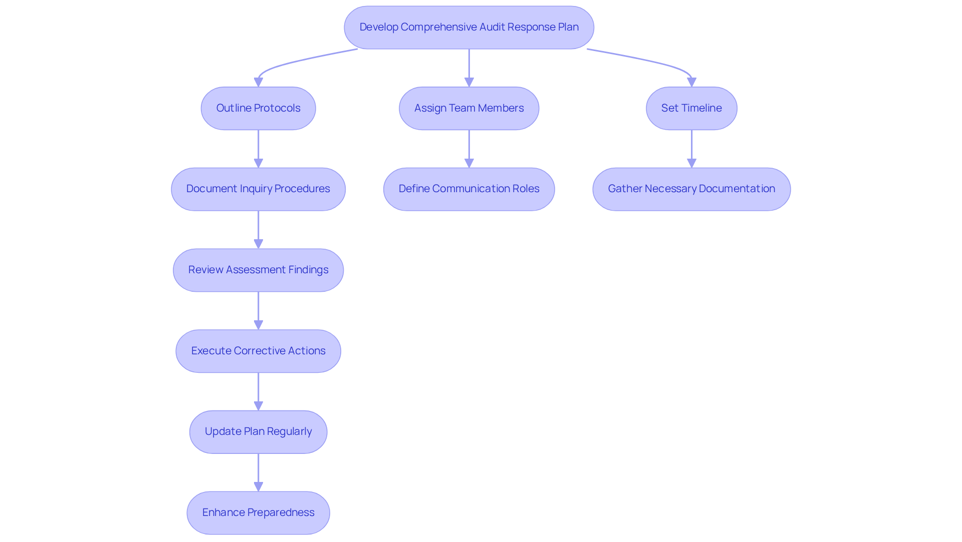 Follow the arrows to see how to build your audit response plan step by step. Each box represents a key action, and the flow shows how they connect to create a comprehensive strategy.