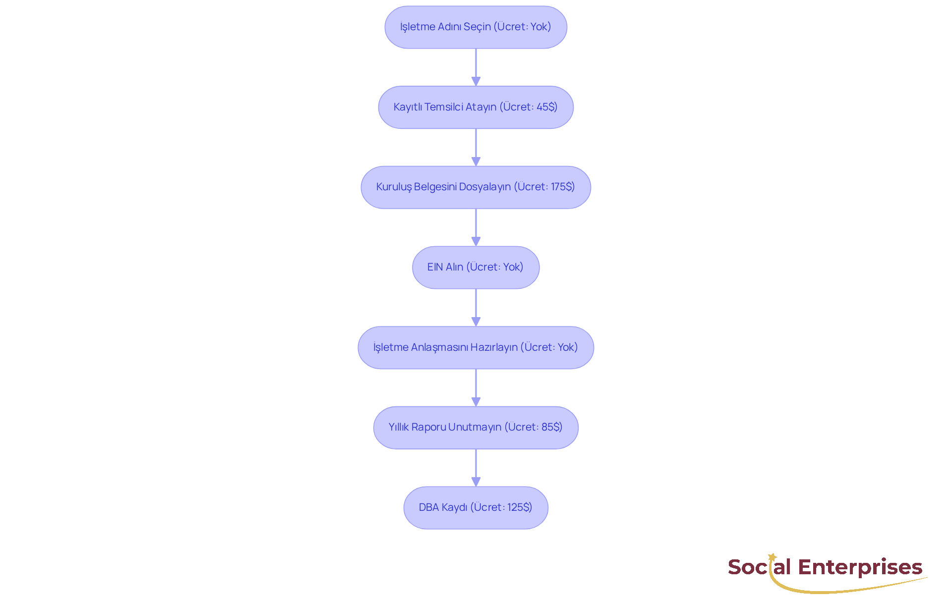 Her kutu, LLC kurma sürecindeki bir aşamayı temsil eder. Akış yukarıdan aşağıya doğru ilerliyor ve her adımın ne yapmanız gerektiğini ve ilgili ücretleri gösteriyor.