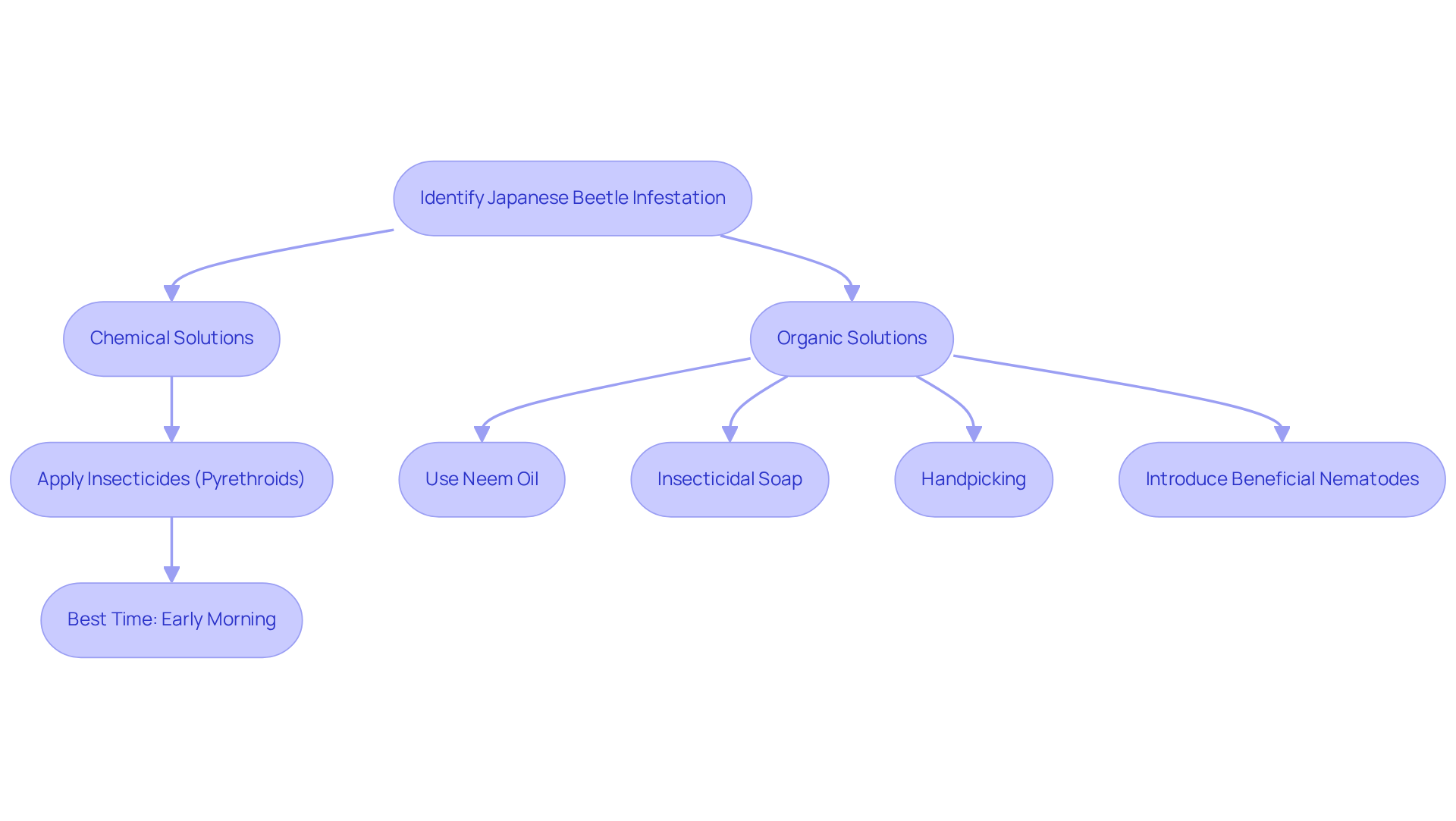 Follow the flowchart to see how to tackle Japanese beetle infestations. Start with identifying the problem, then choose between chemical or organic solutions, and follow the steps for effective control. Follow the flowchart to see how to tackle Japanese beetle infestations. Start with identifying the problem, then choose between chemical or organic solutions, and follow the steps for effective control.