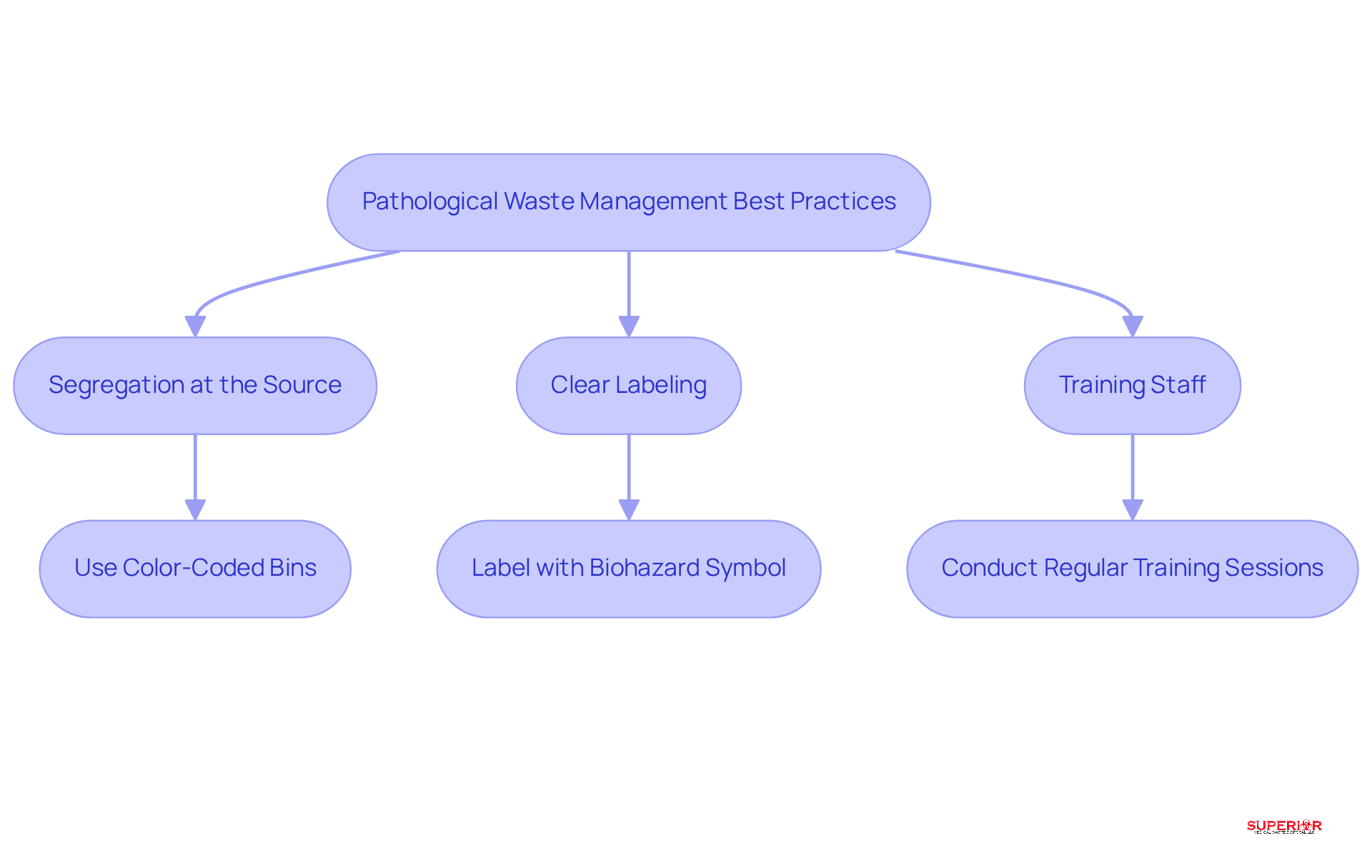 Best Practices for Pathological Waste Disposal in Healthcare Facilities ...