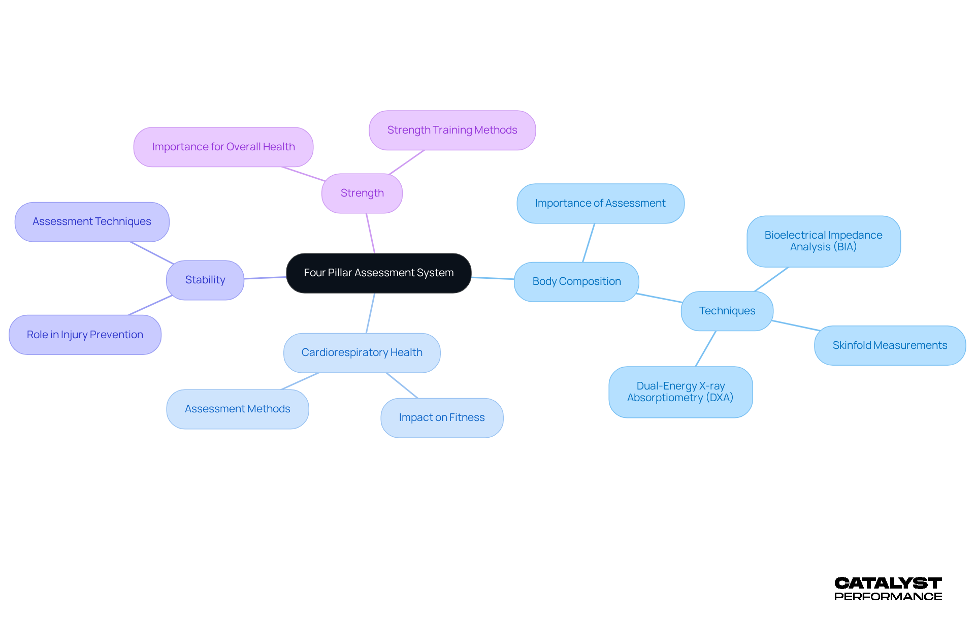 Start at the center with the Four Pillar Assessment System, then explore each branch to see how Body Composition, Cardiorespiratory Health, Stability, and Strength contribute to your health journey.