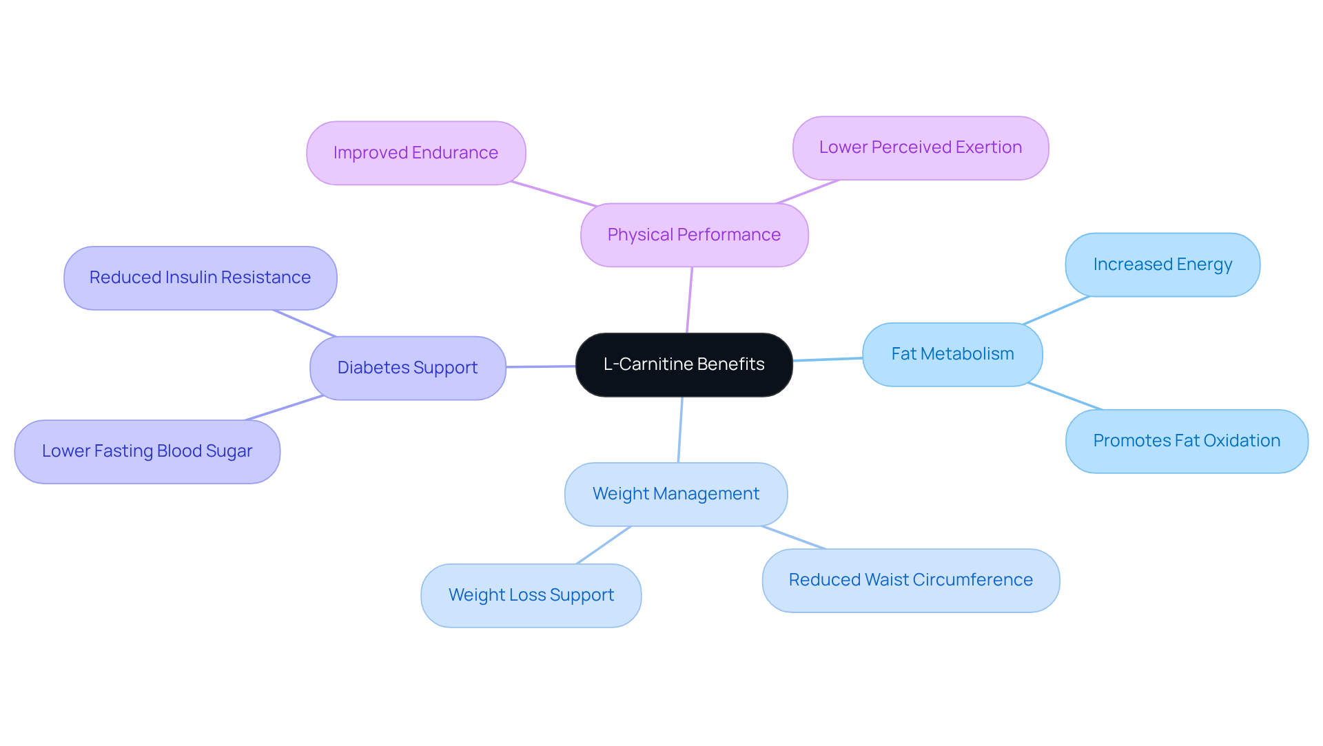 This mindmap illustrates how L-Carnitine can enhance various aspects of health. Each branch represents a different benefit, and the sub-branches provide specific details or findings related to that benefit. Follow the branches to see how L-Carnitine supports energy, weight management, diabetes, and physical performance. This mindmap illustrates how L-Carnitine can enhance various aspects of health. Each branch represents a different benefit, and the sub-branches provide specific details or findings related to that benefit. Follow the branches to see how L-Carnitine supports energy, weight management, diabetes, and physical performance.